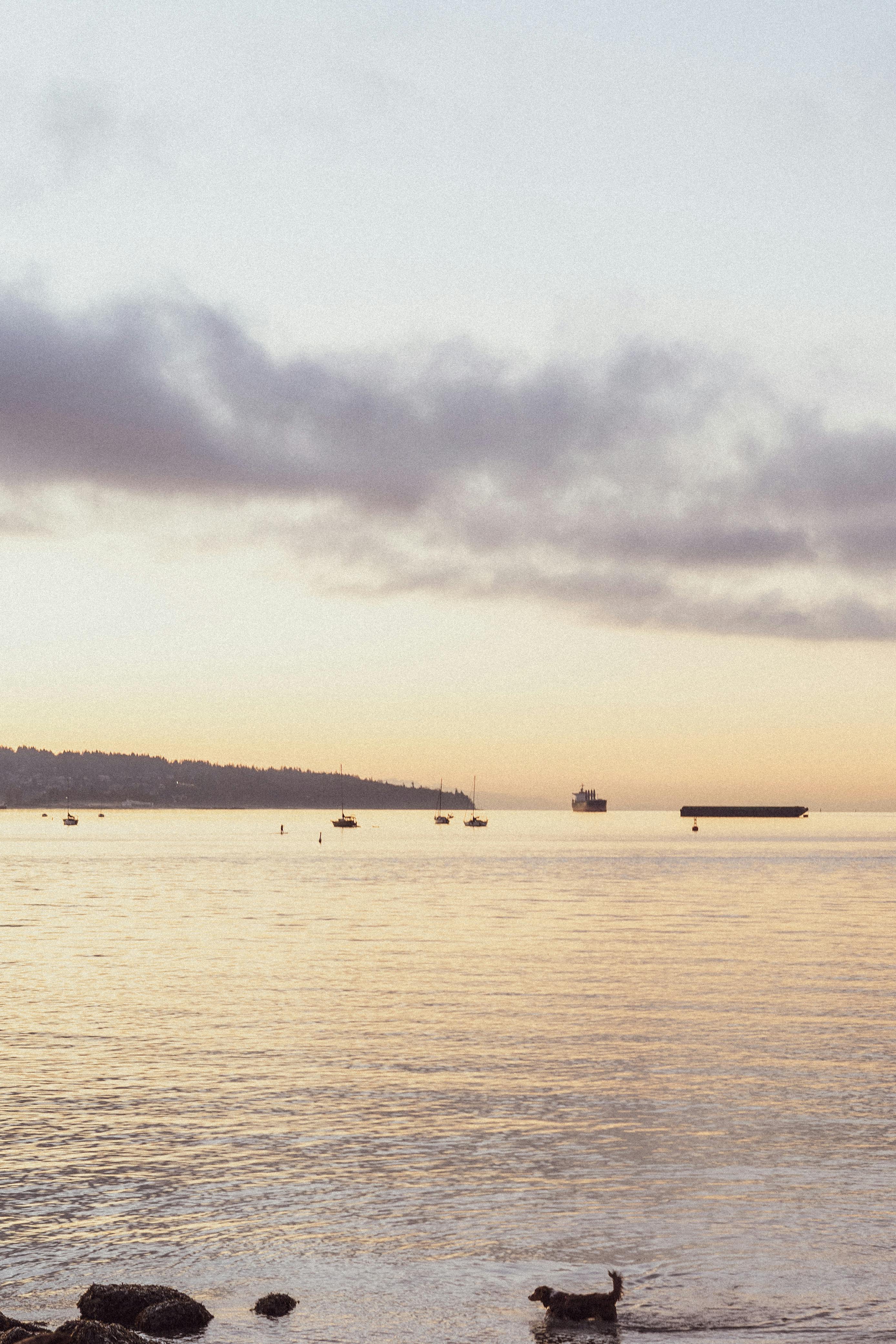 Photo of a Sea Beach · Free Stock Photo