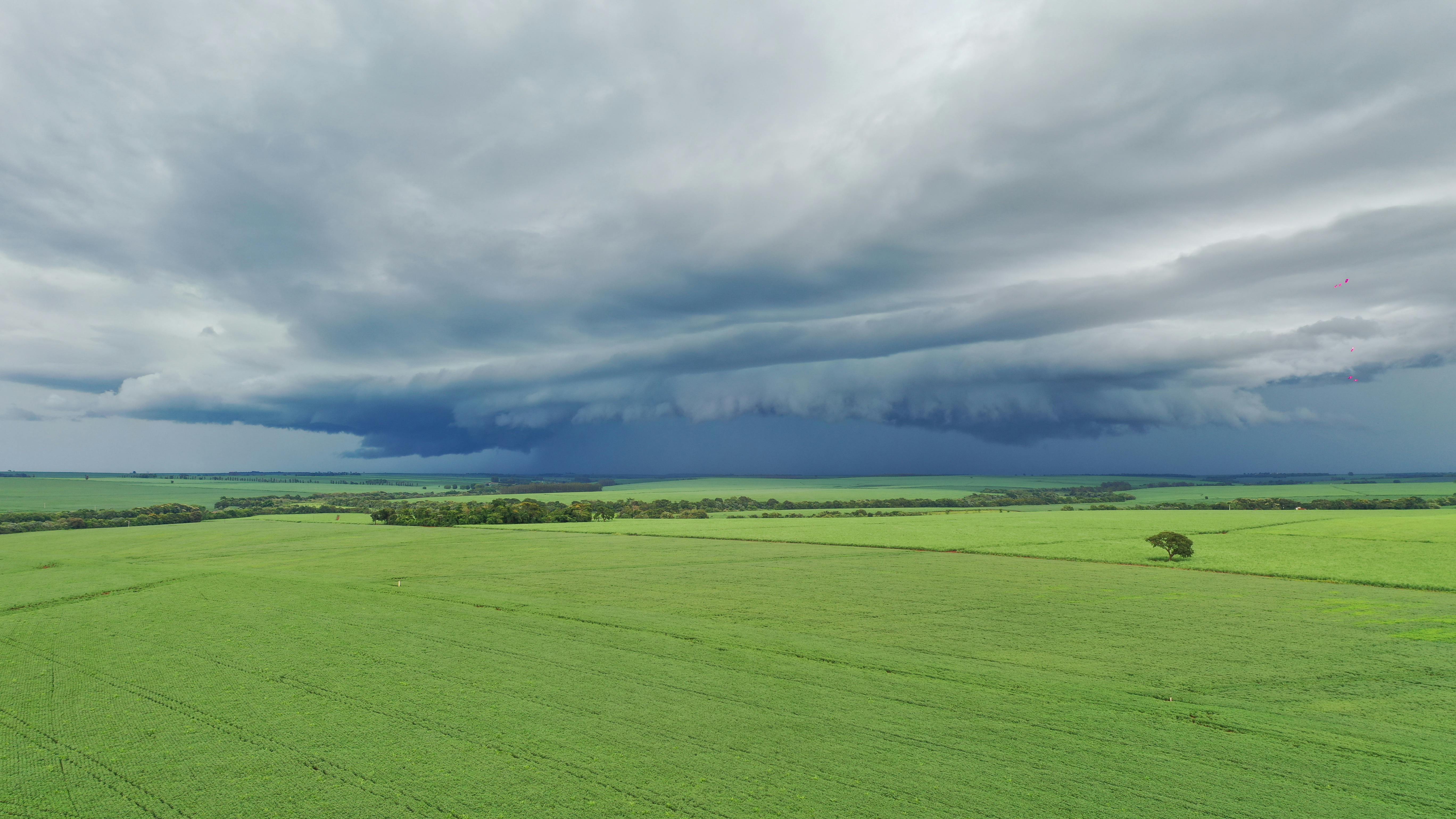 Grass Field Near the Beach · Free Stock Photo
