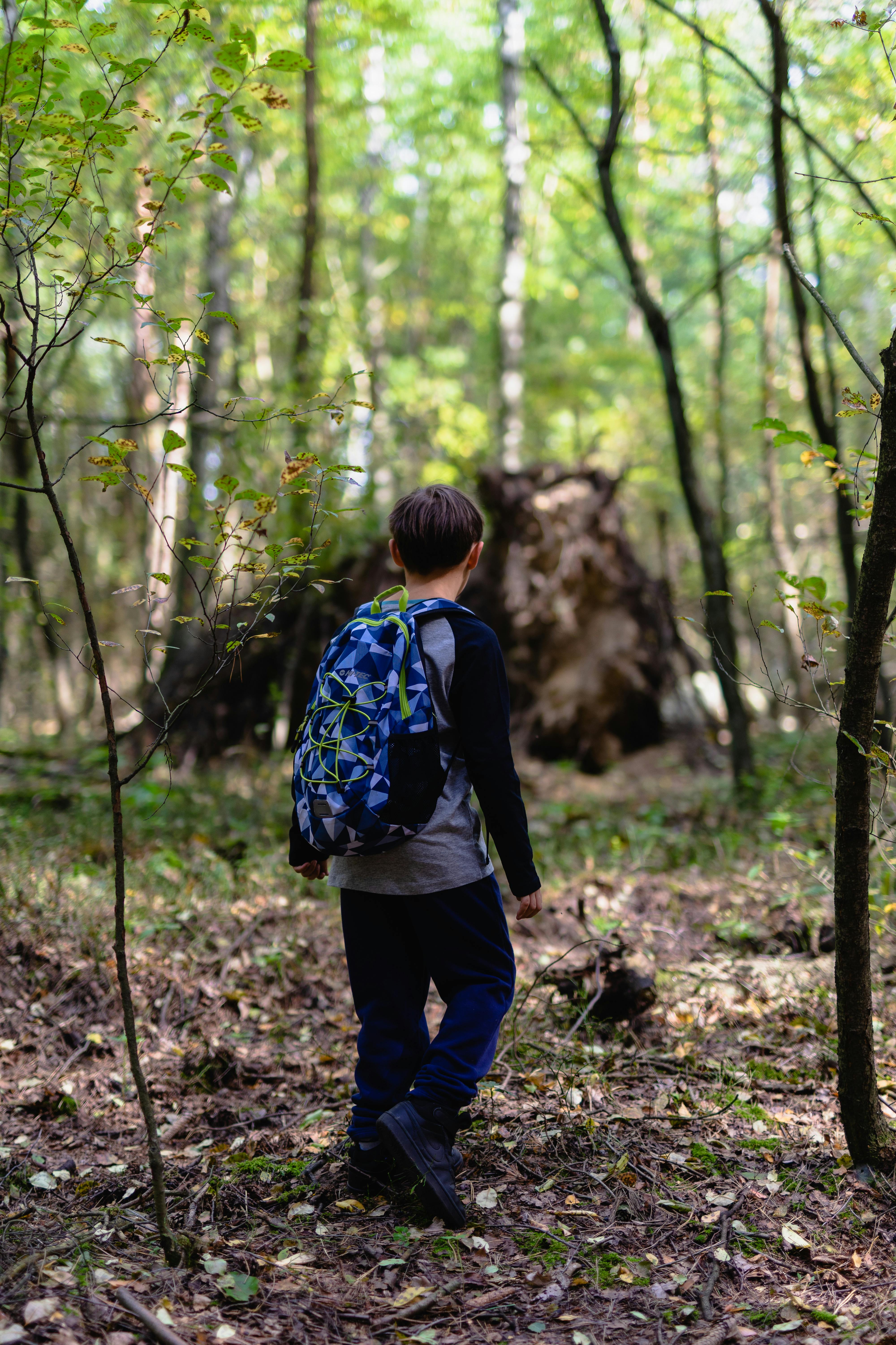 A Kid Alone in the Forest · Free Stock Photo