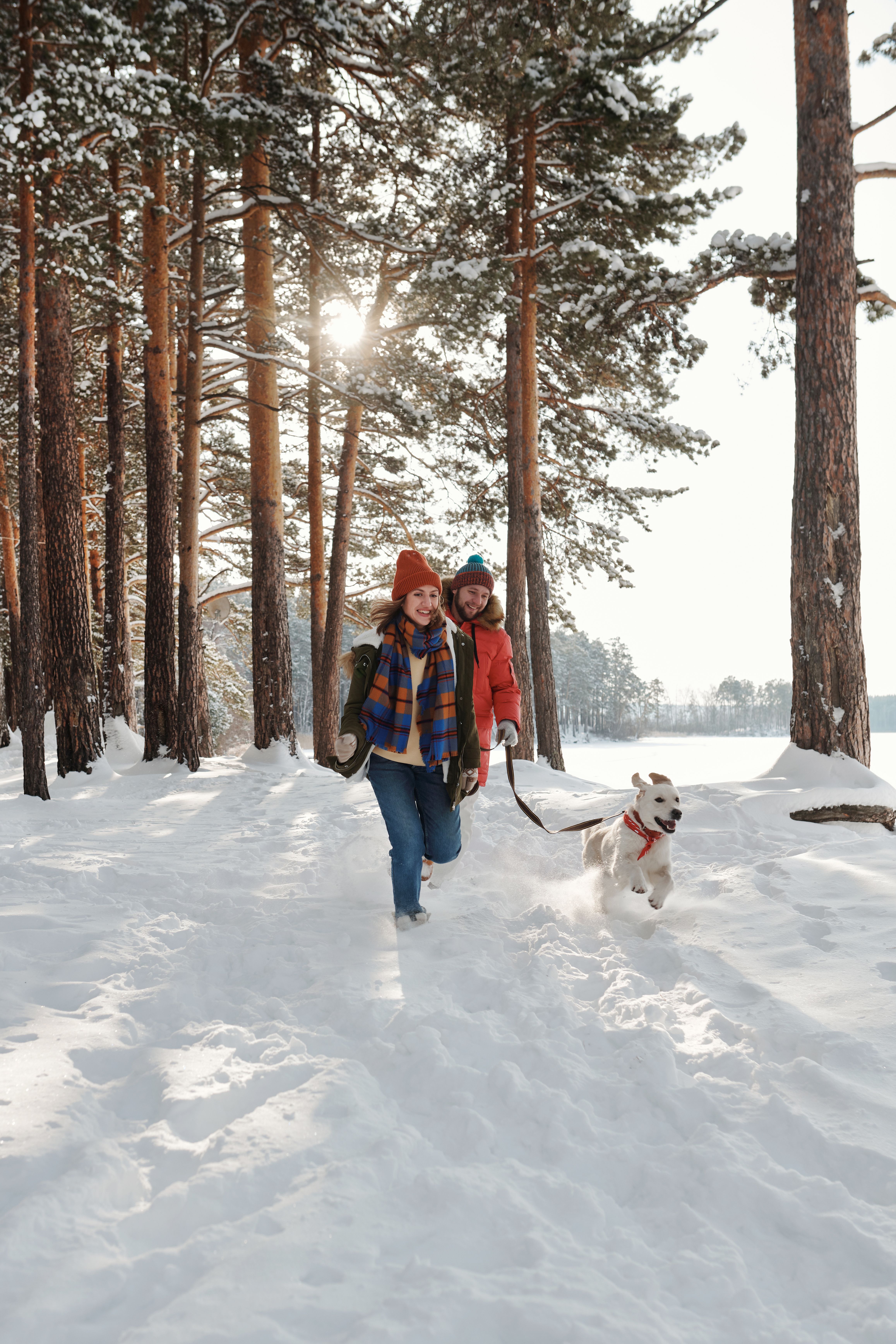 A Couple Walking Their Dog in the Snow Covered Forest Ground · Free ...