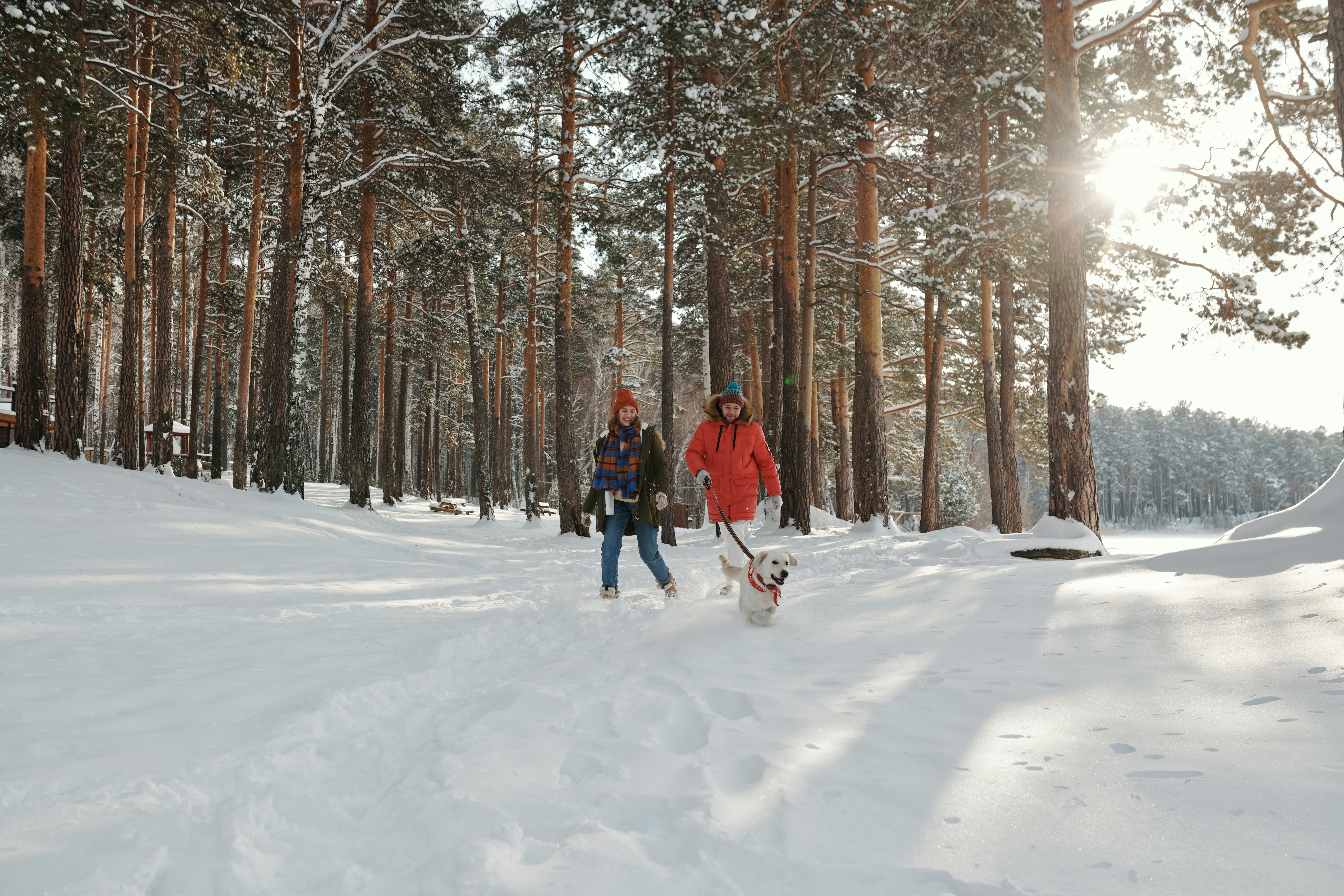 A Couple and their Dog Strolling · Free Stock Photo