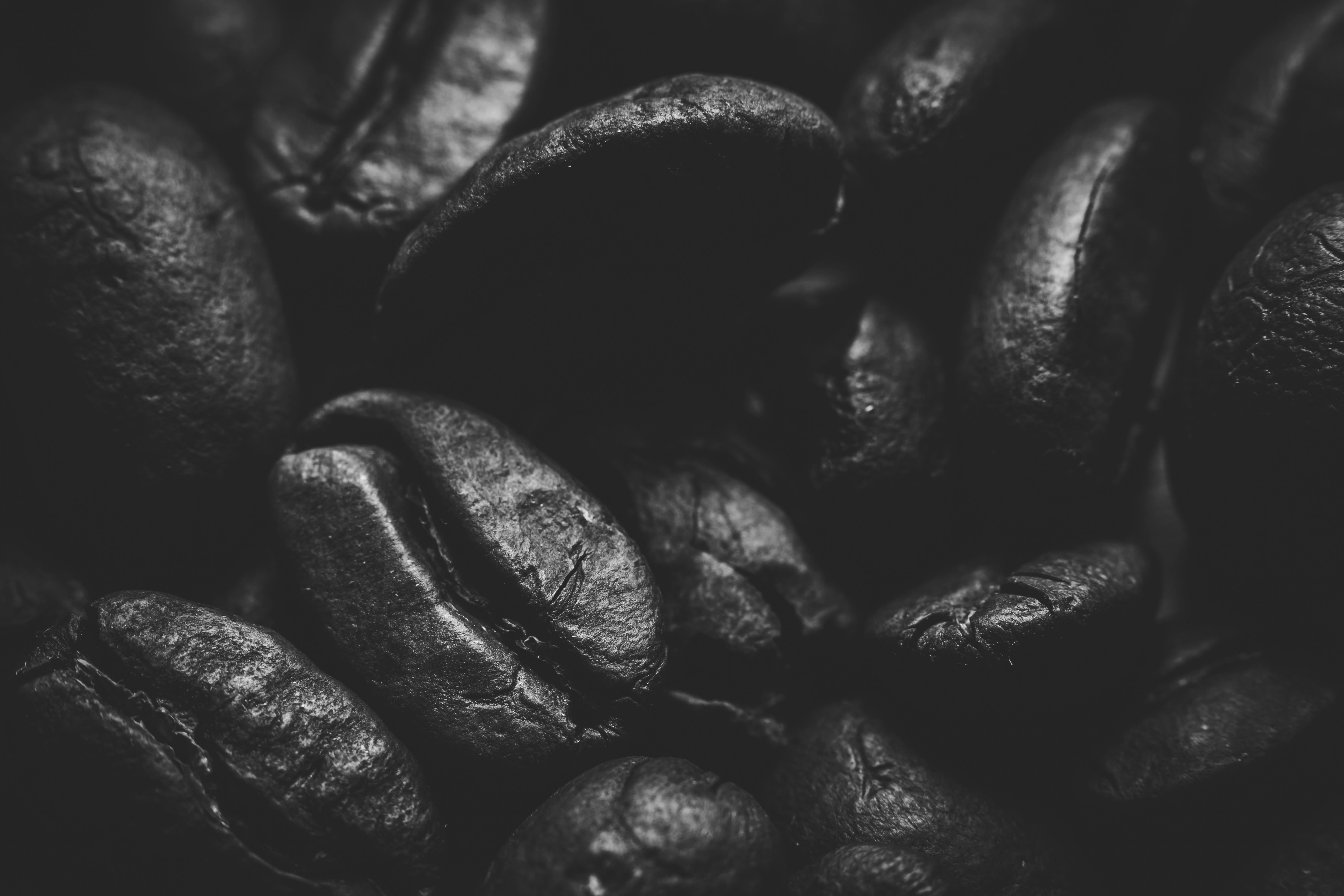 Grayscale Photo of Roasted Coffee Beans · Free Stock Photo