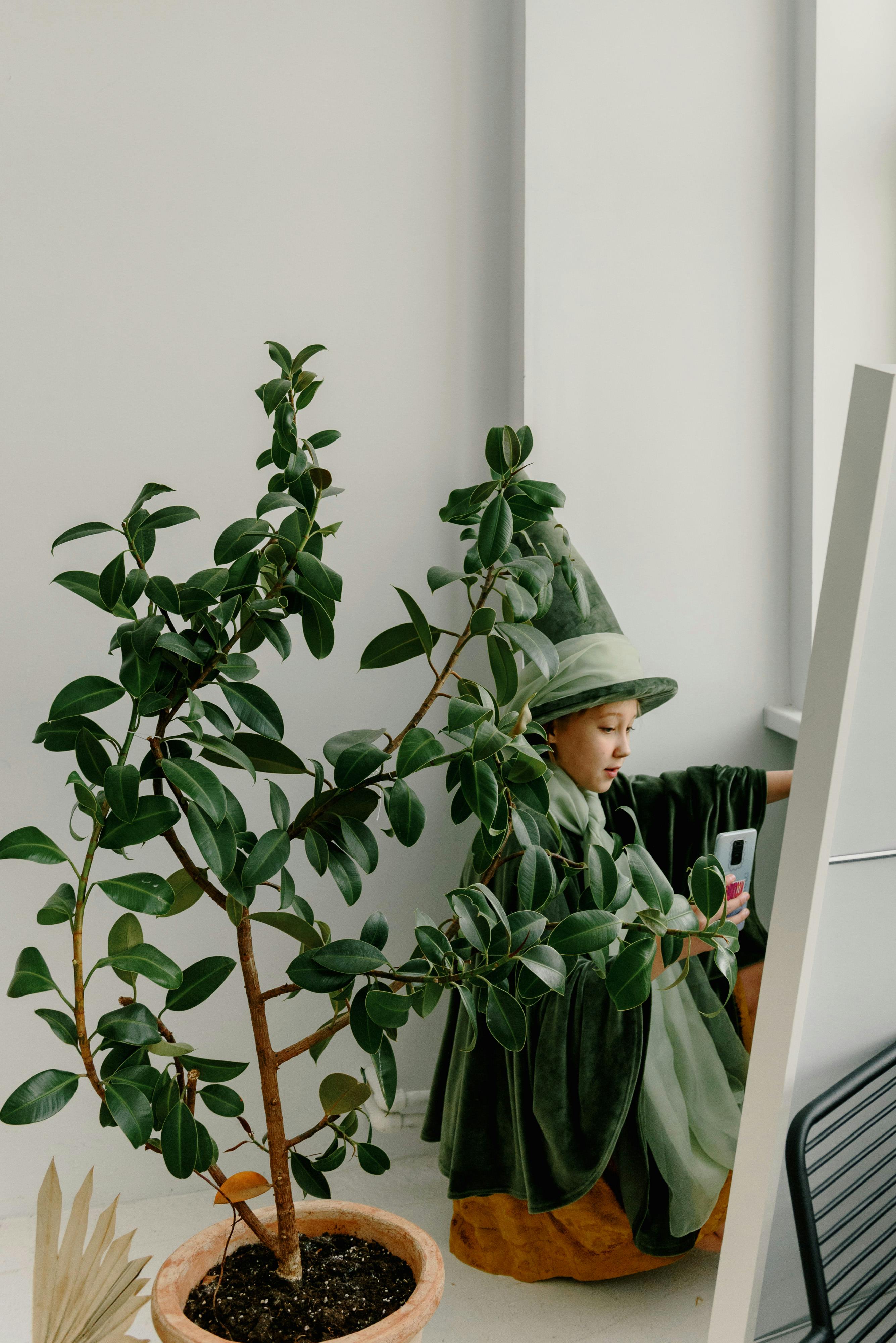 Wizard Pot Photos, Download The BEST Free Wizard Pot Stock Photos & HD ...