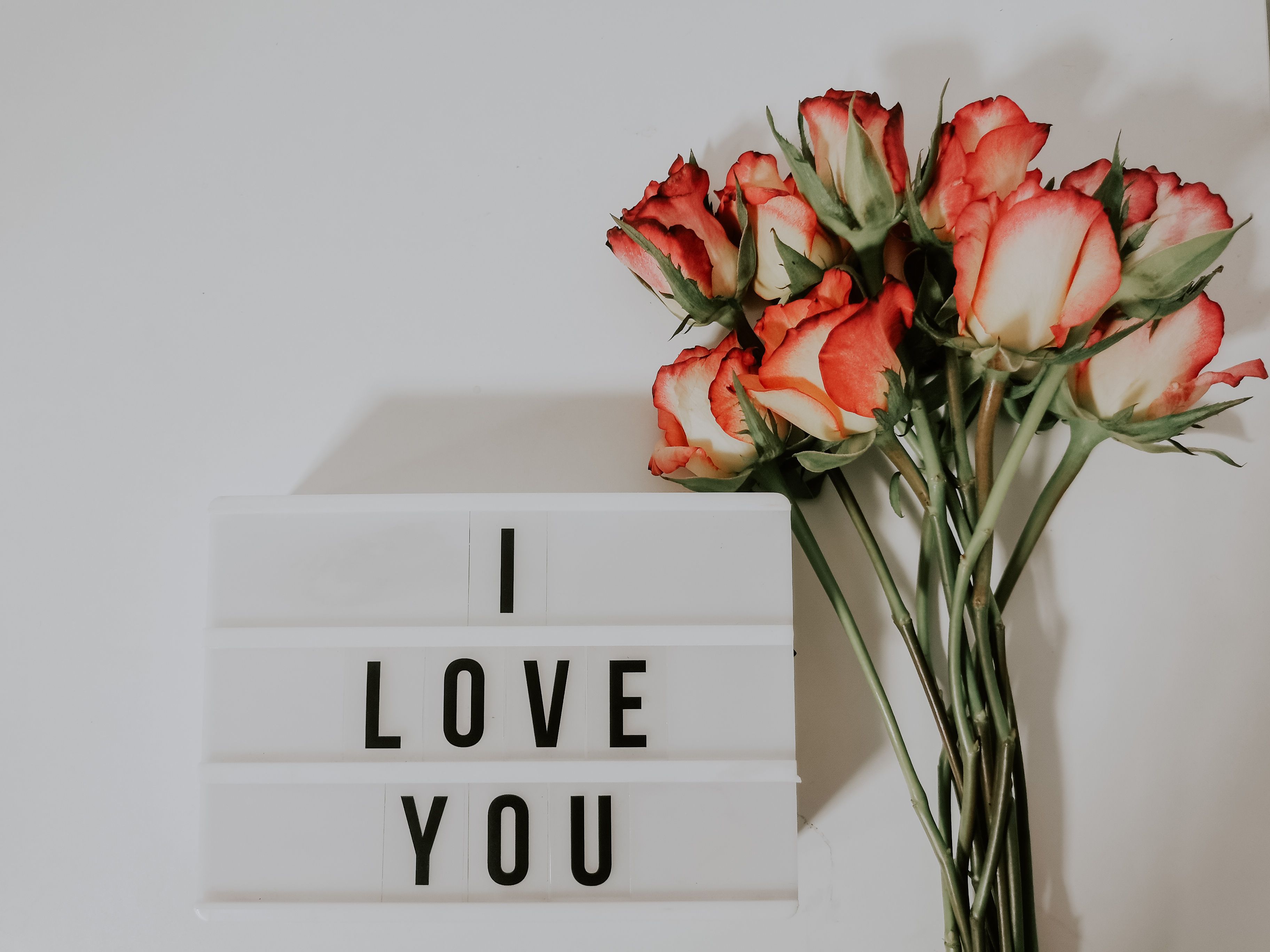 Love Words Background Photos, Download The BEST Free Love Words ...