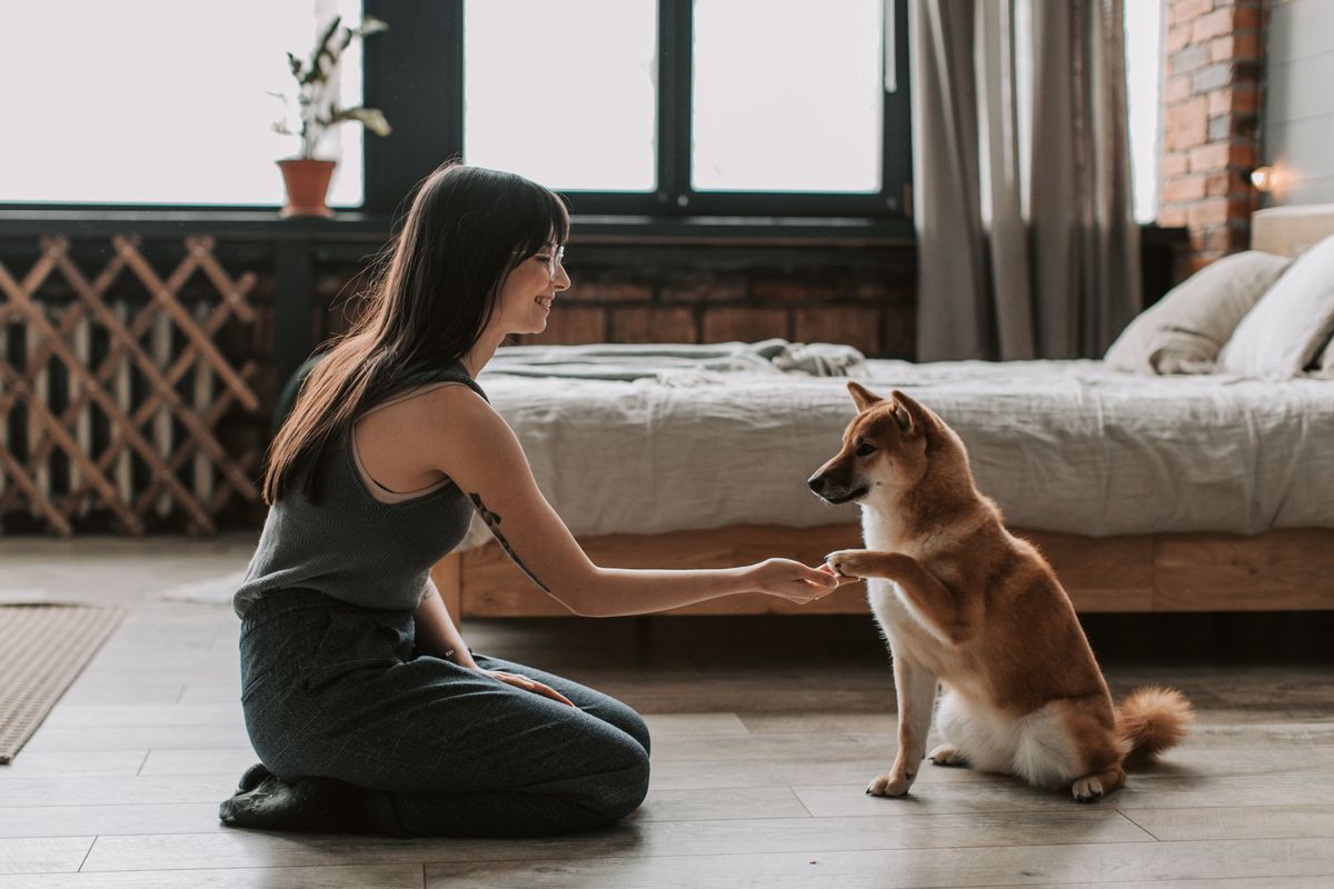 Understanding Canine Toe Cancer: Causes & Treatment Options