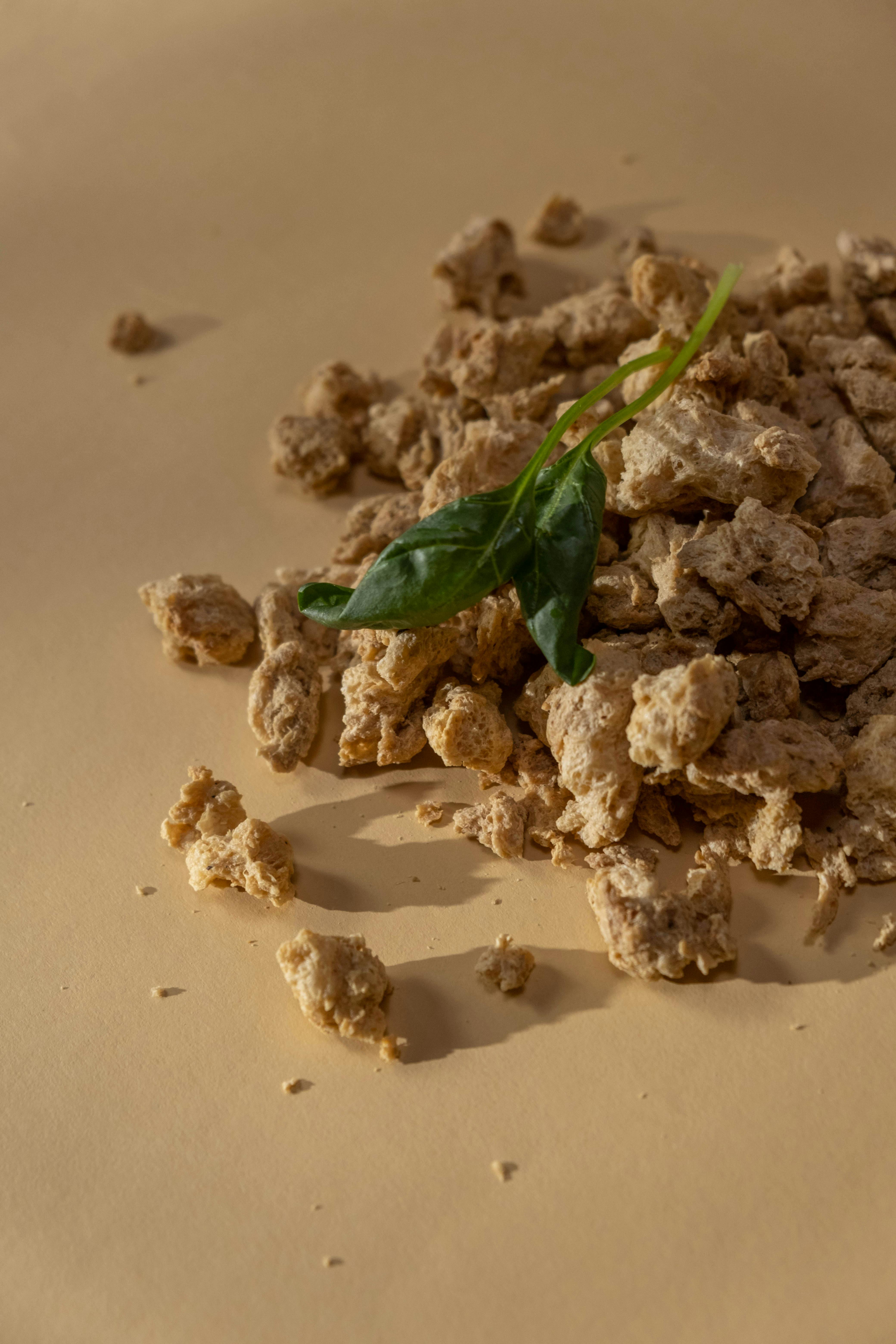 Beige Food Photos, Download The BEST Free Beige Food Stock Photos & HD ...