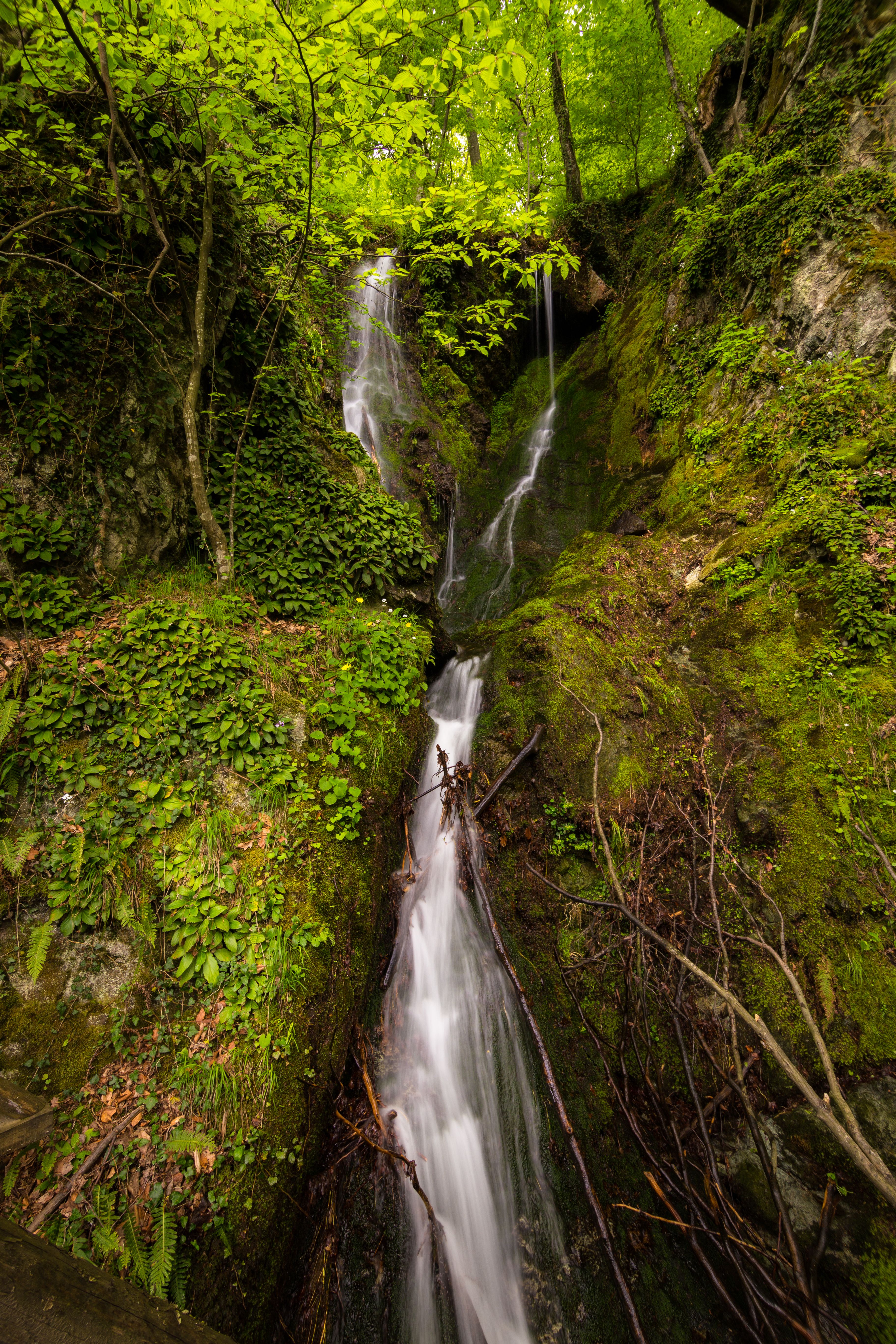 Flowing Water through Cascade · Free Stock Photo