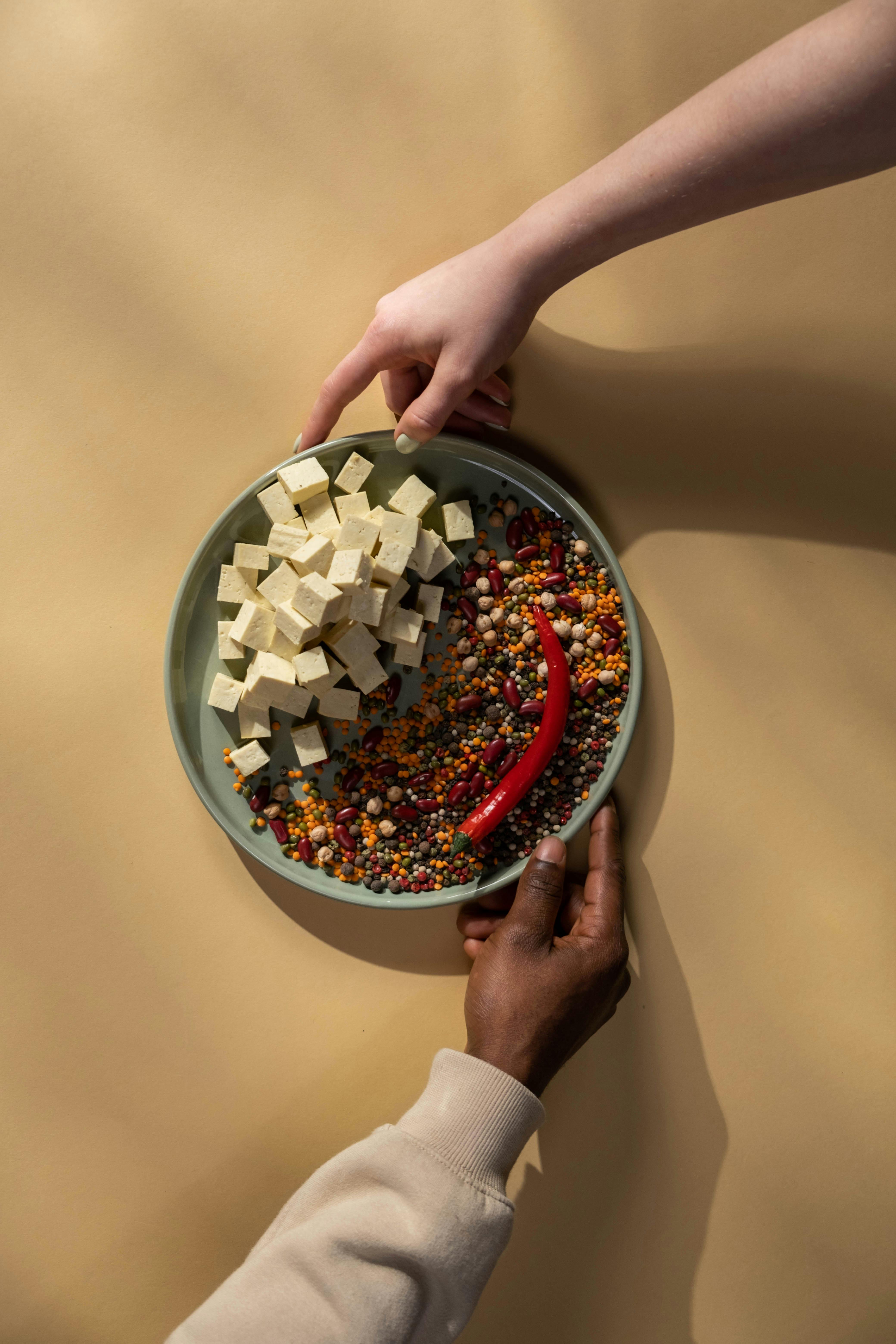 Overhead Shot of Dog Food in a White and Blue Bowl · Free Stock Photo