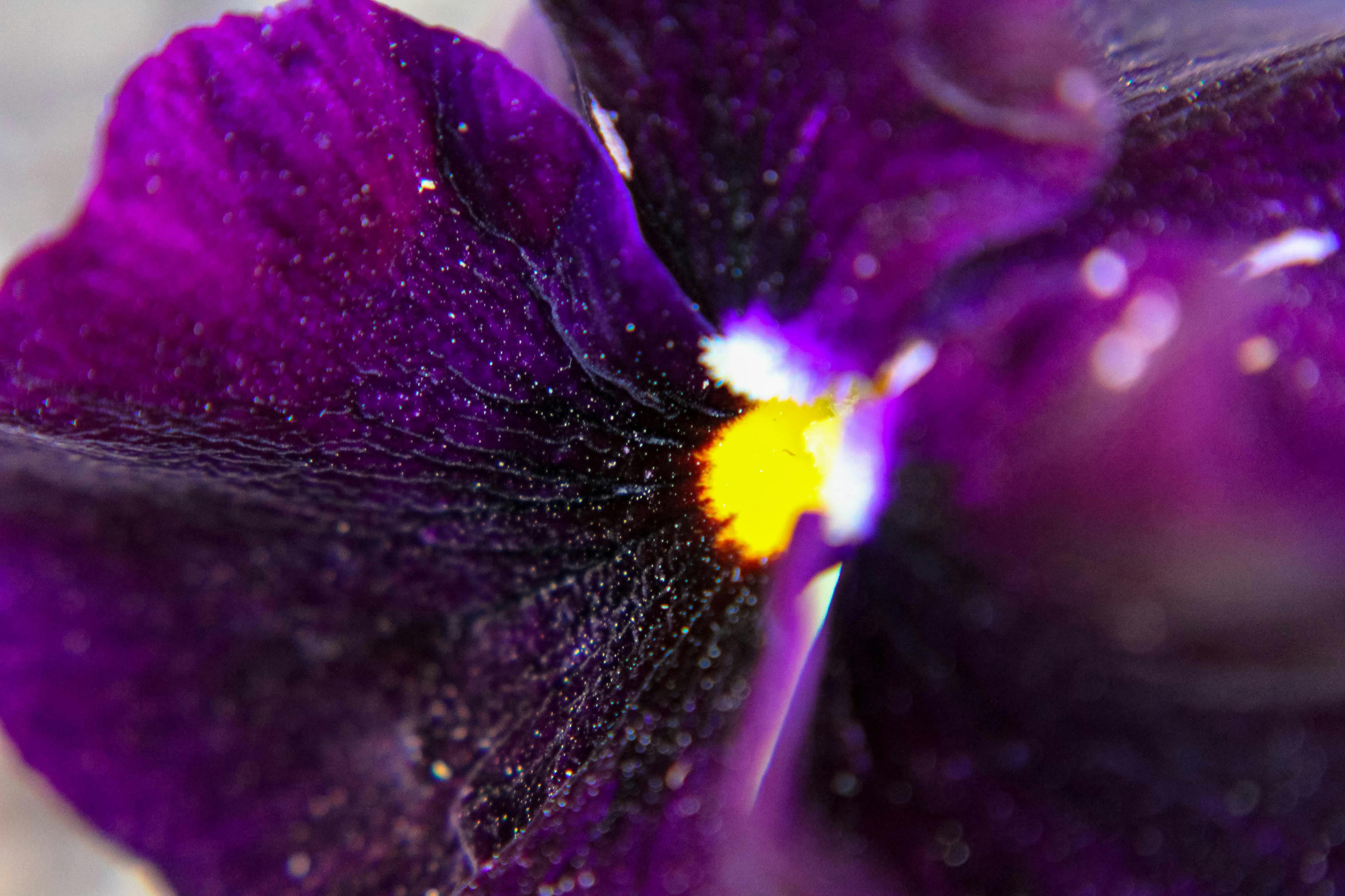 Jonathan Foster – fotografi