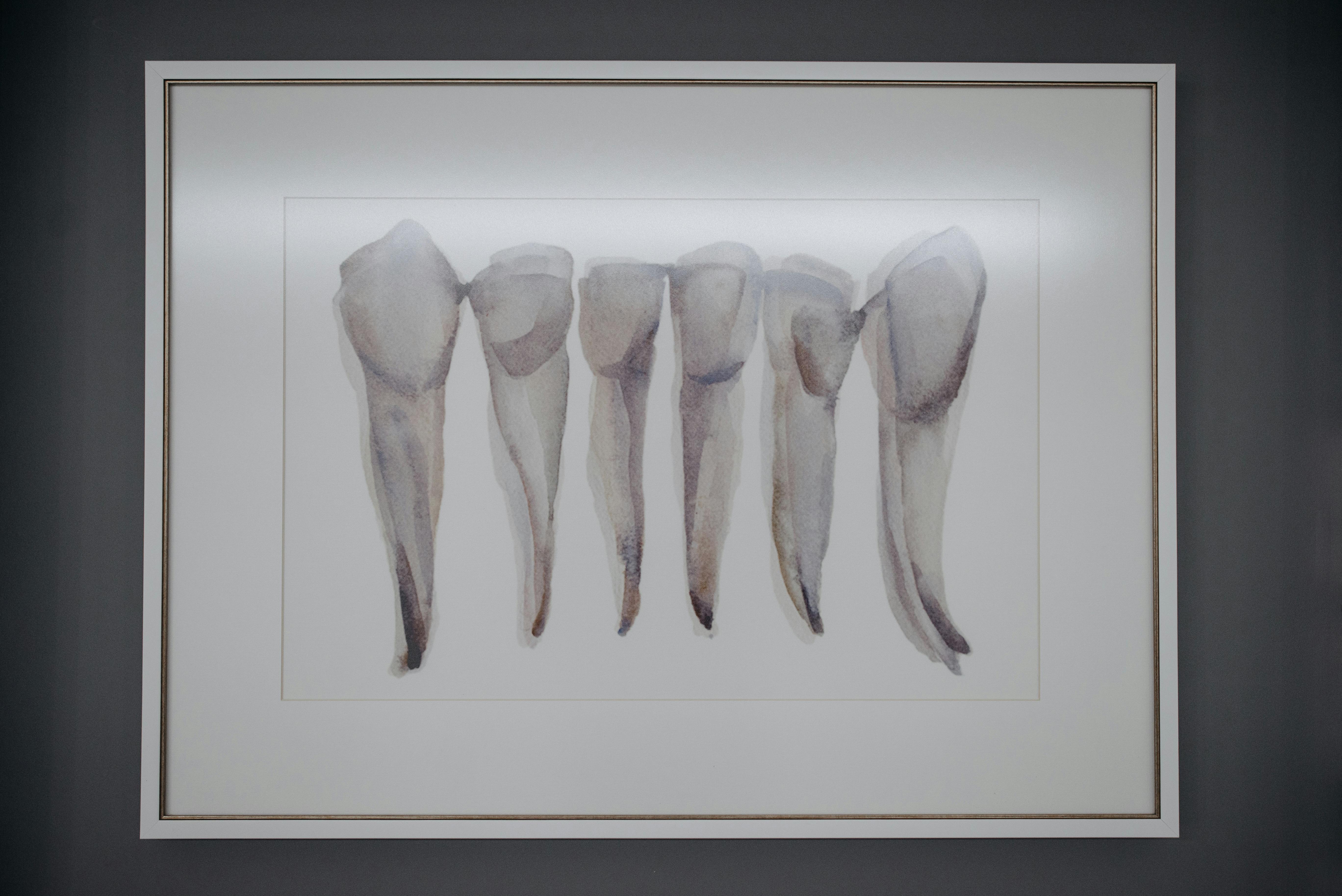 Framed Painting of Extracted Teeth on a Wall · Free Stock Photo
