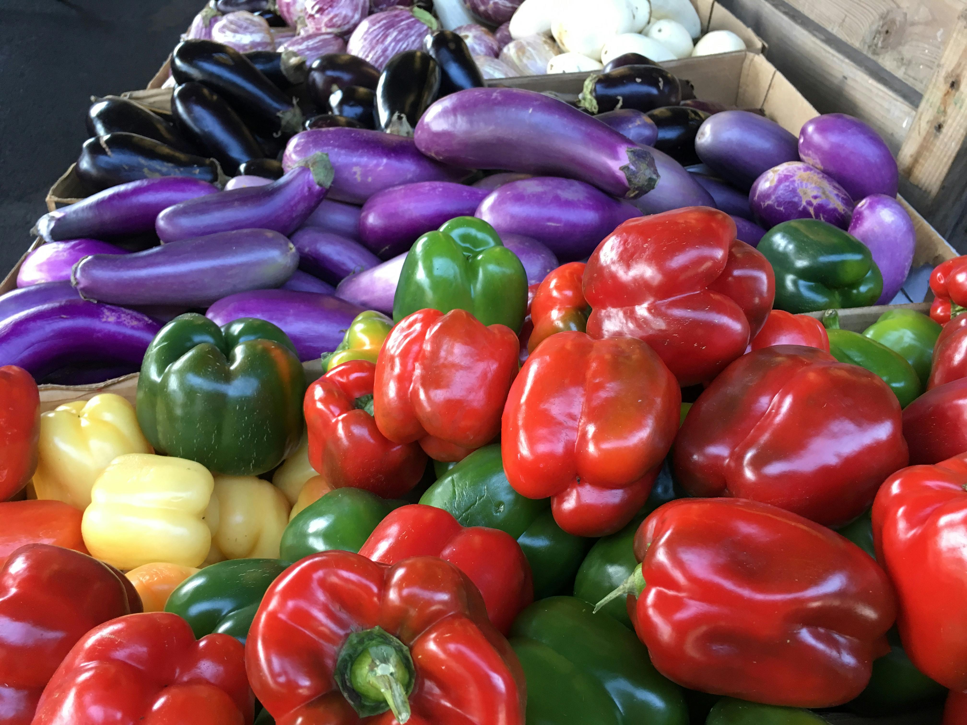Free stock photo of bell peppers, farm produce