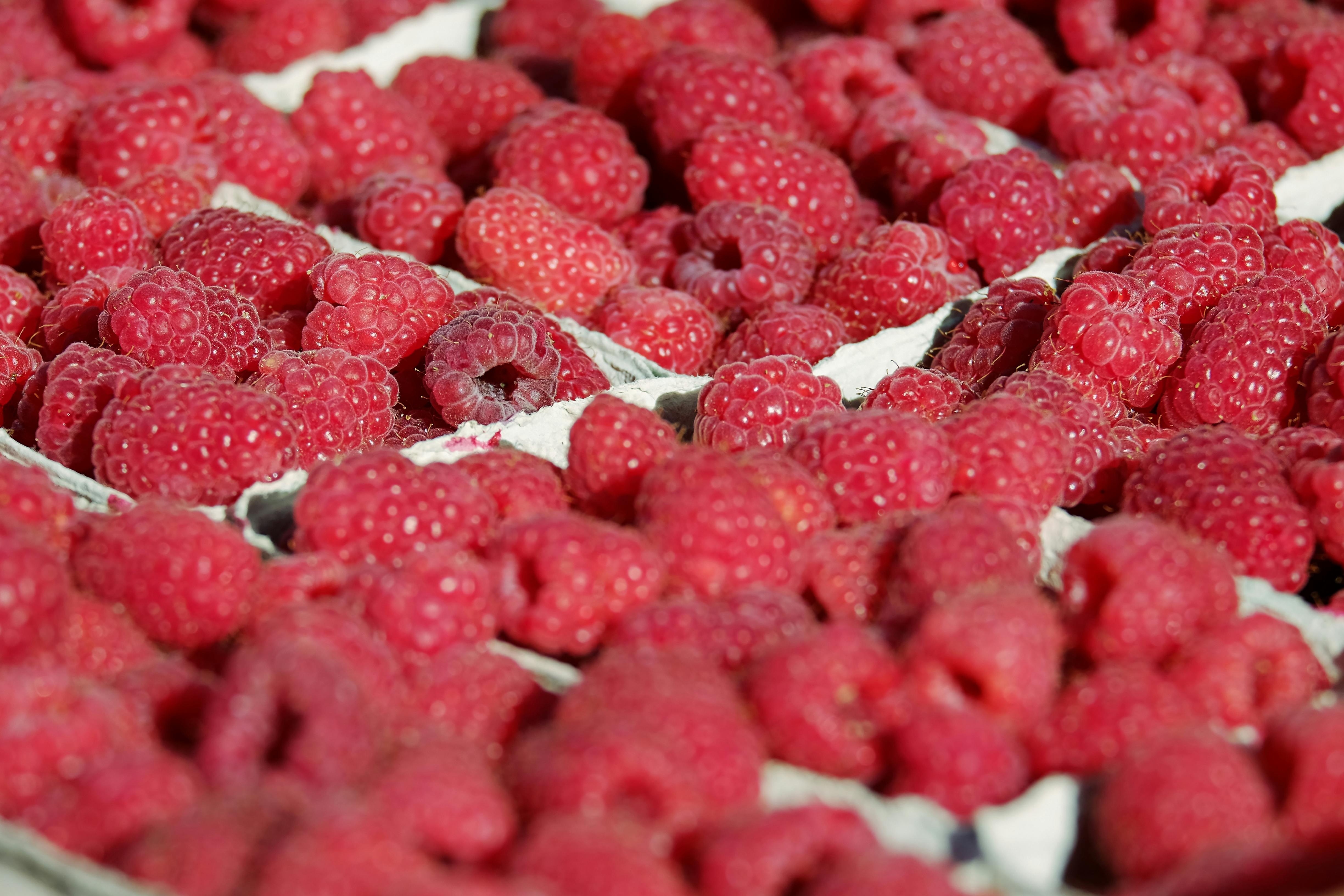 Close-Up Photo of Raspberries · Free Stock Photo