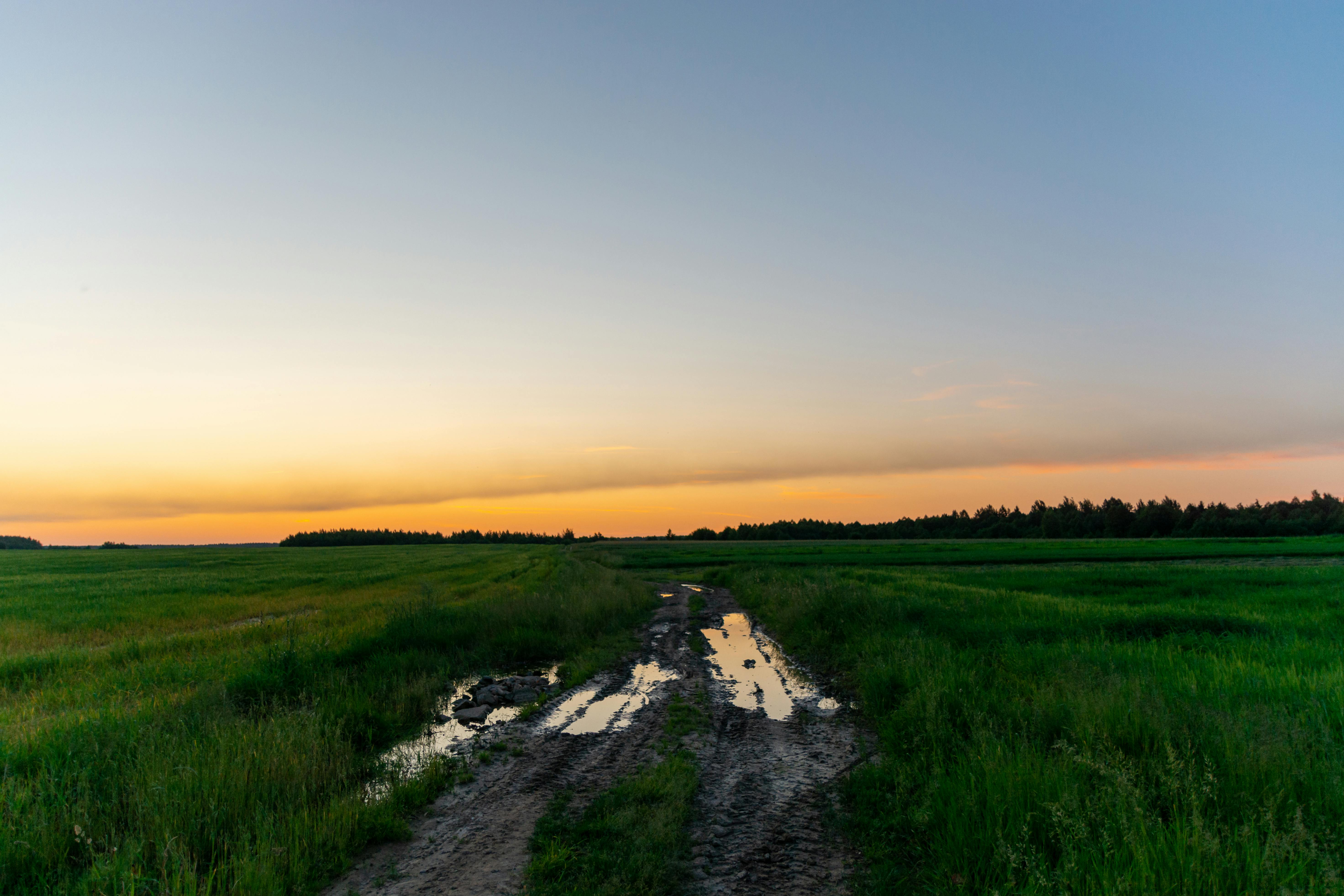Green Grass Field · Free Stock Photo