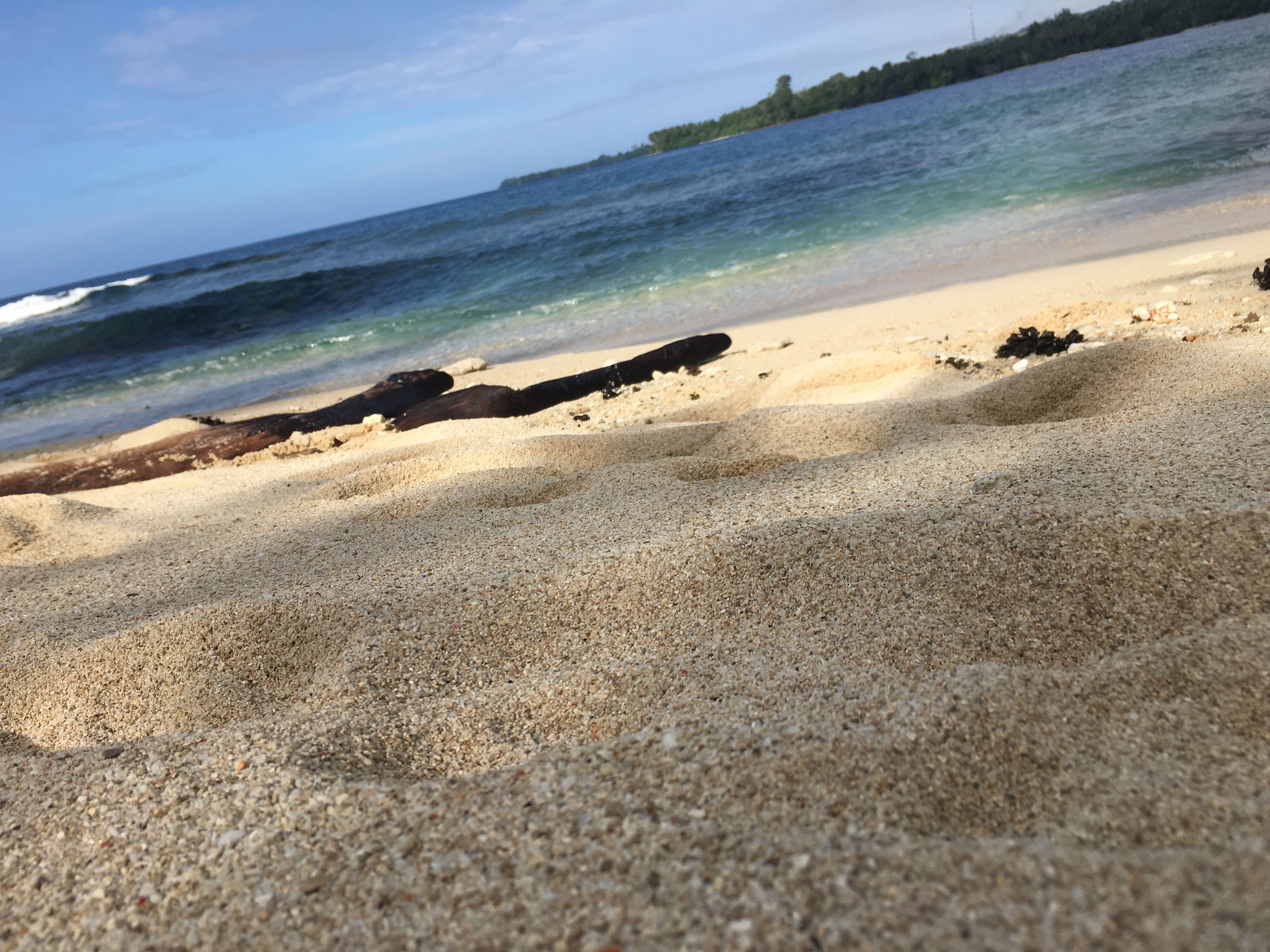 Free stock photo of beach, Madang, Prency
