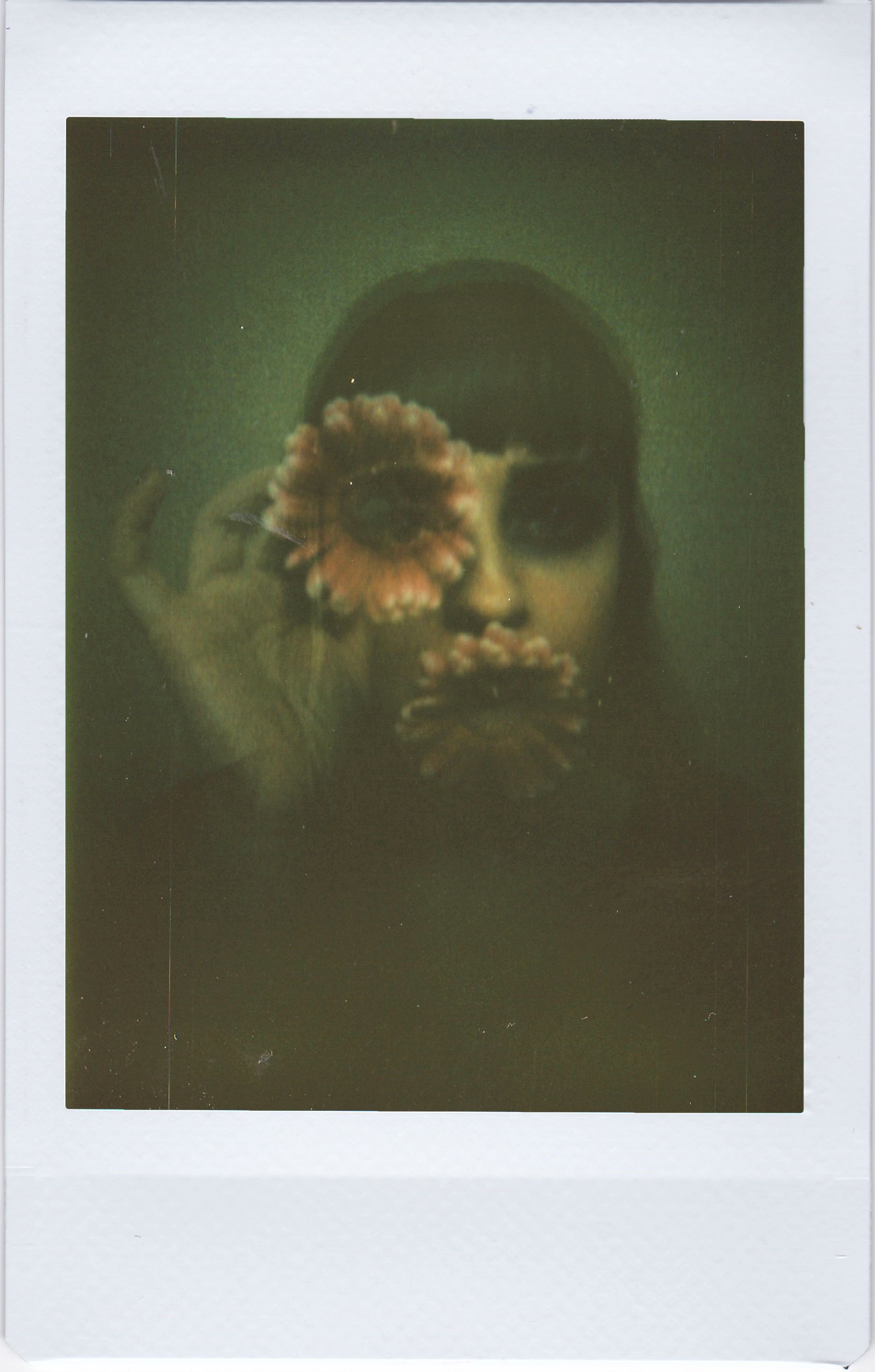 Woman with Flower Heads · Free Stock Photo