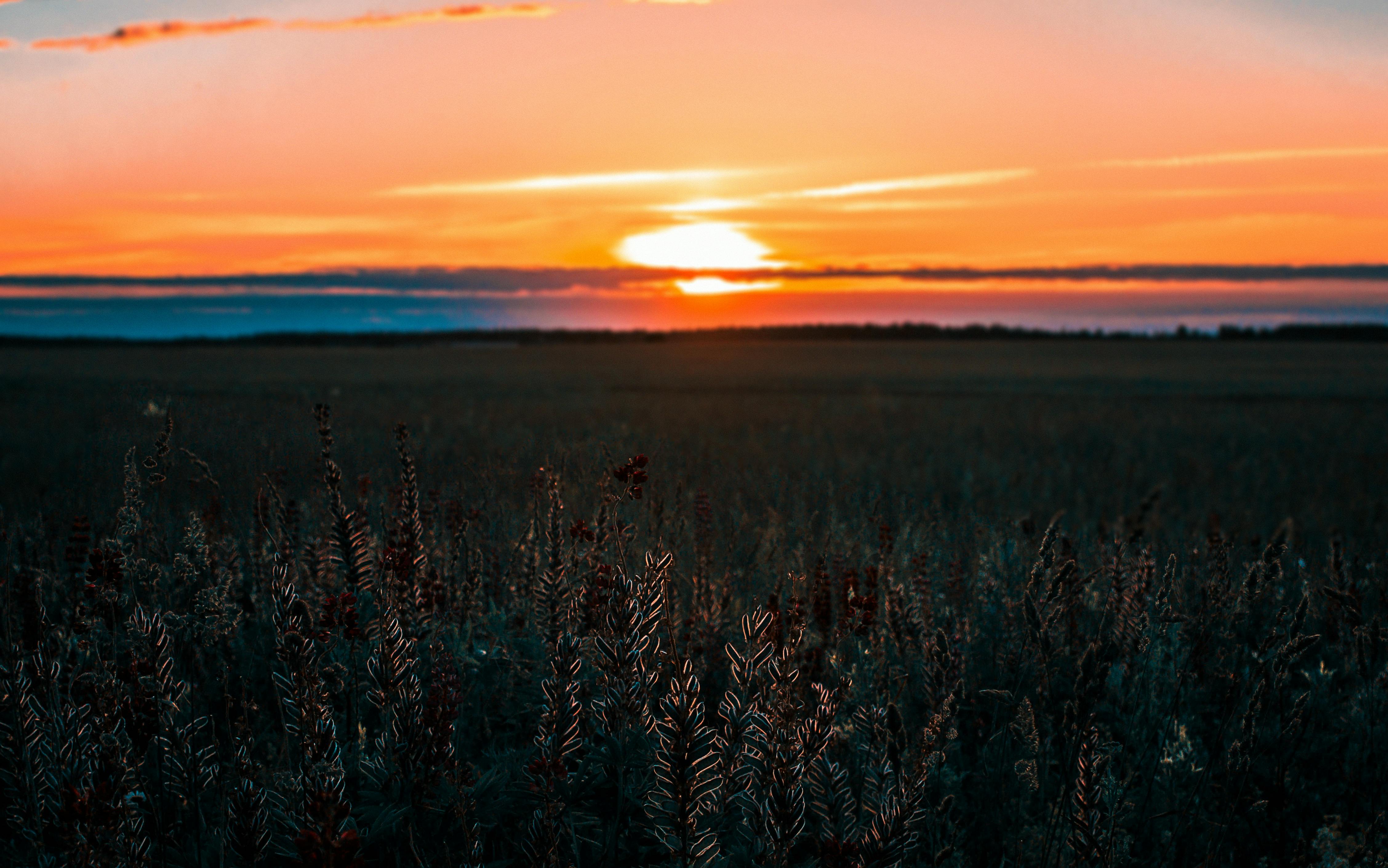Gray Field during Sunset · Free Stock Photo