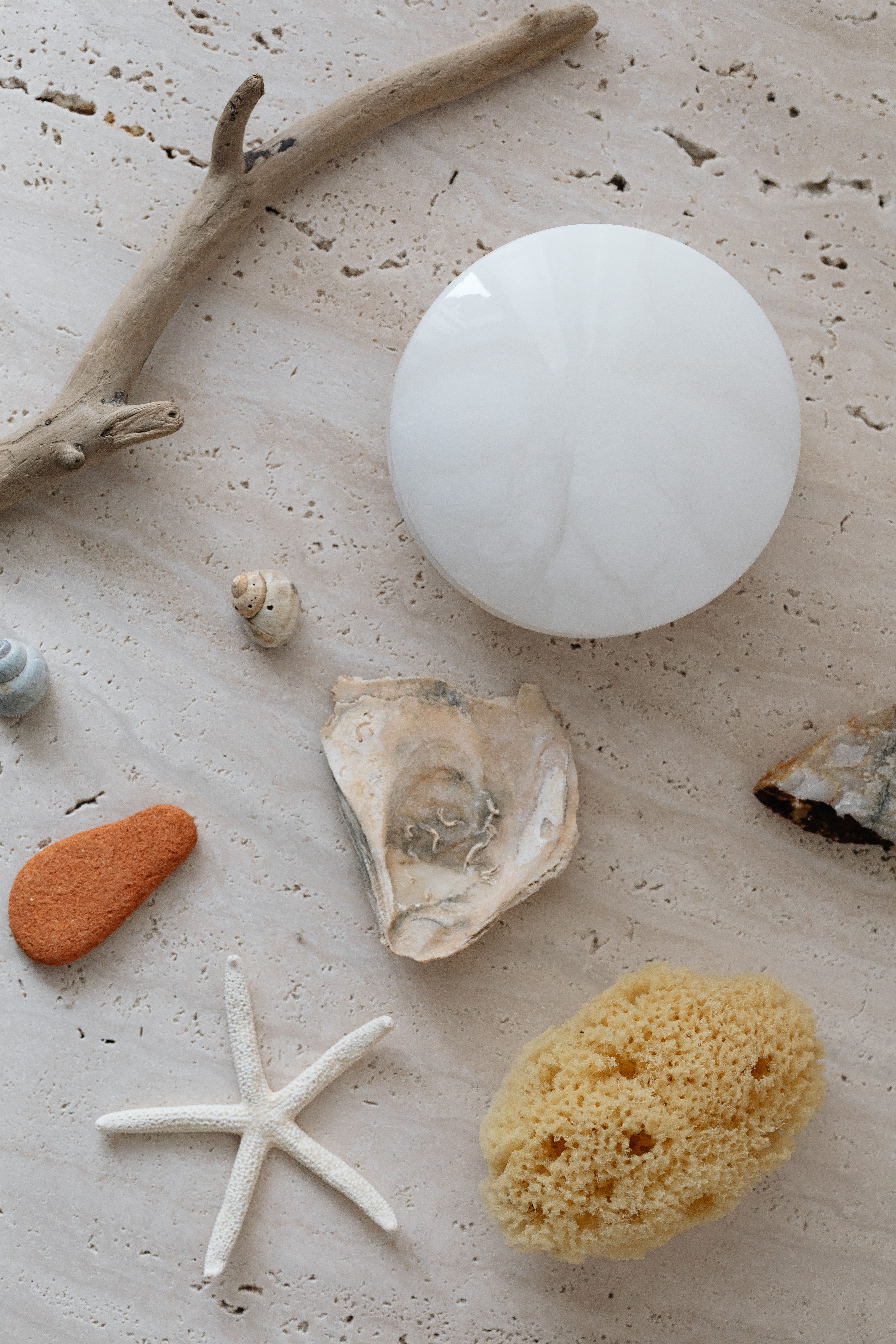 Sea Shell Aesthetic Photos, Download The BEST Free Sea Shell Aesthetic ...