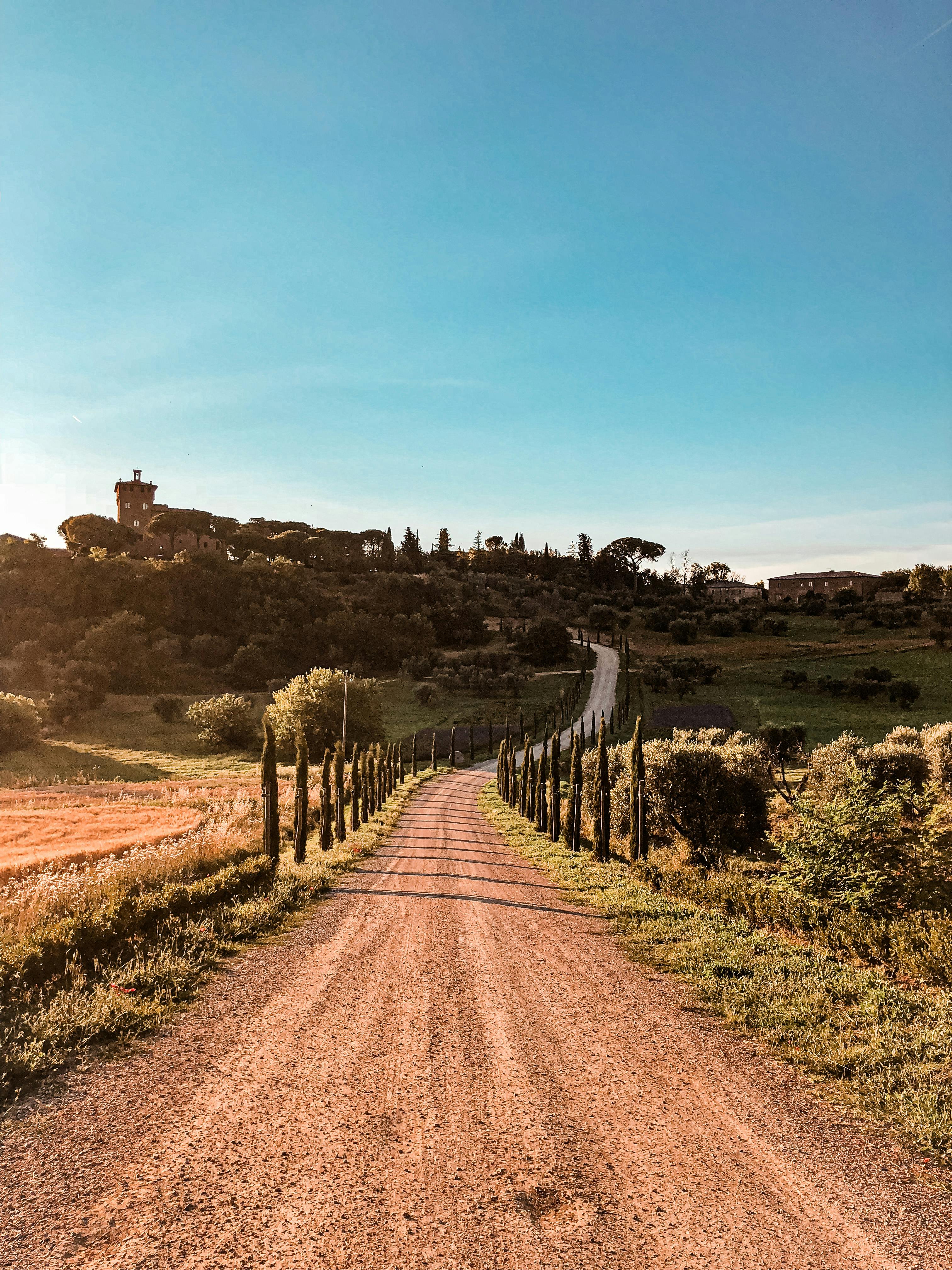 Off Road Inside the Farm · Free Stock Photo
