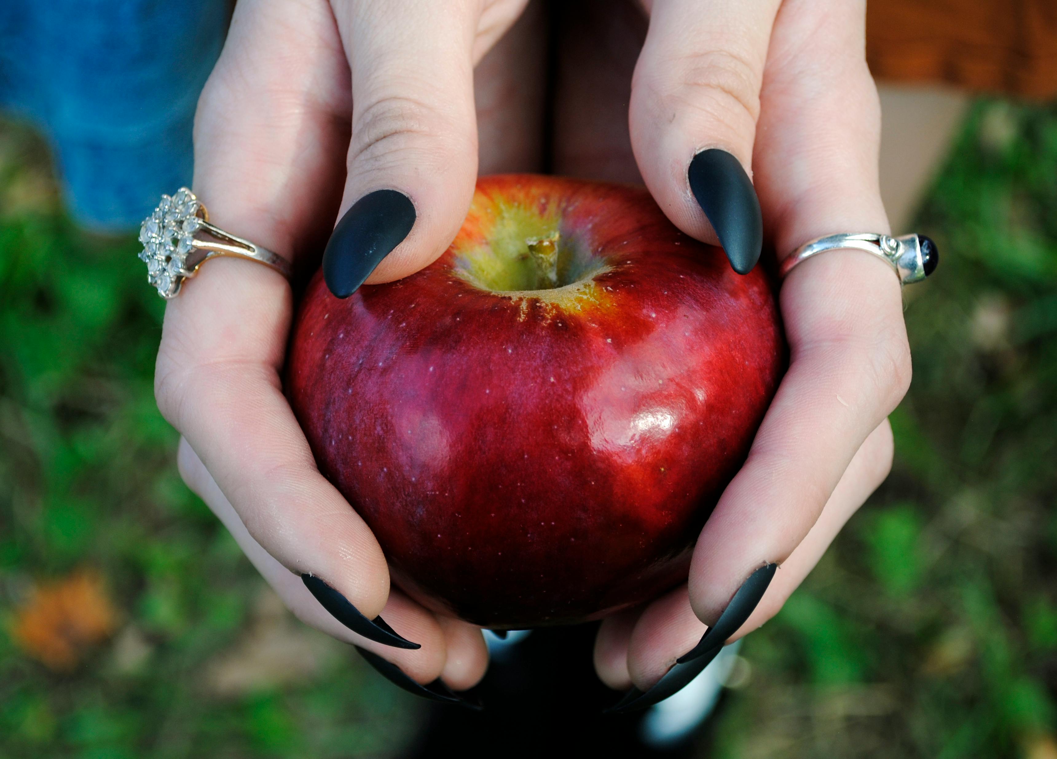 Apple in Hands · Free Stock Photo