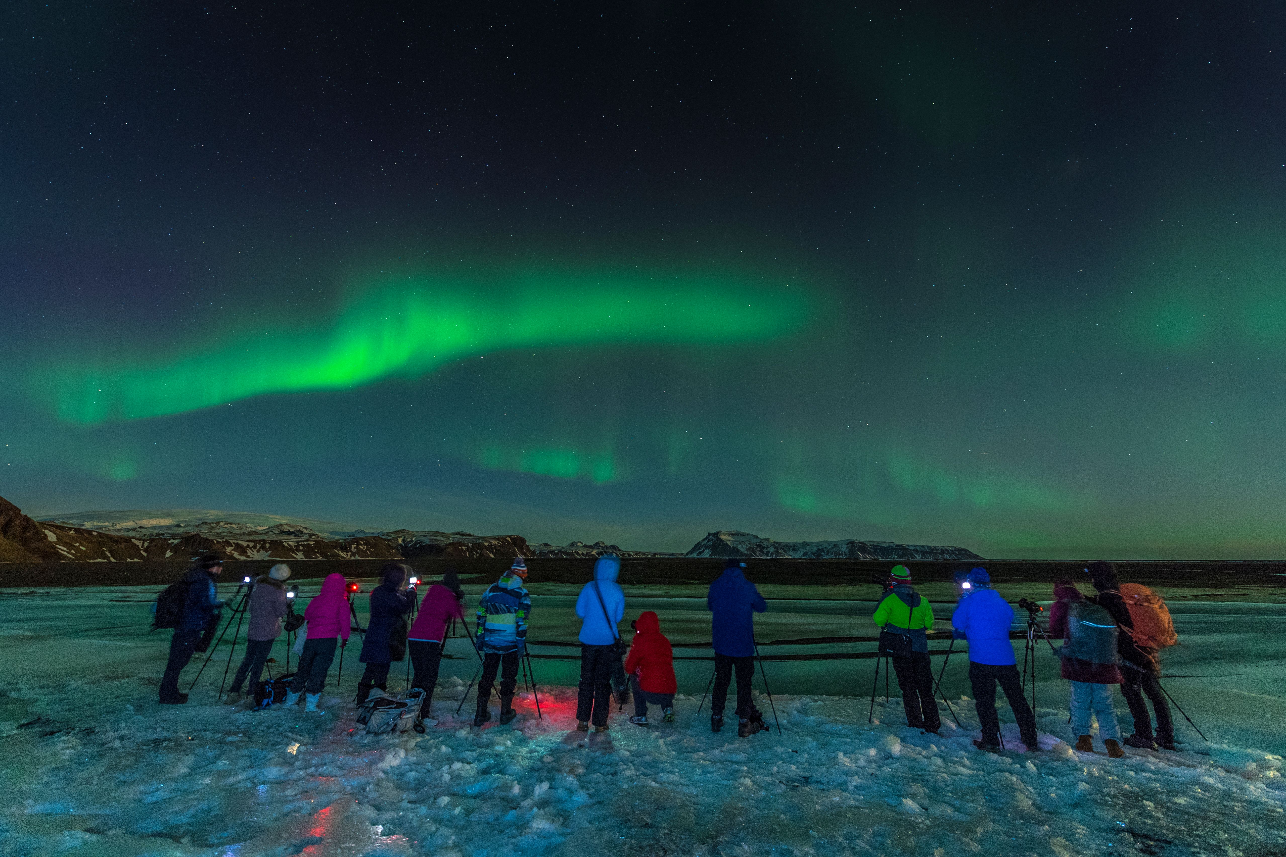 Photographers Taking Photos of the Northern Lights · Free Stock Photo