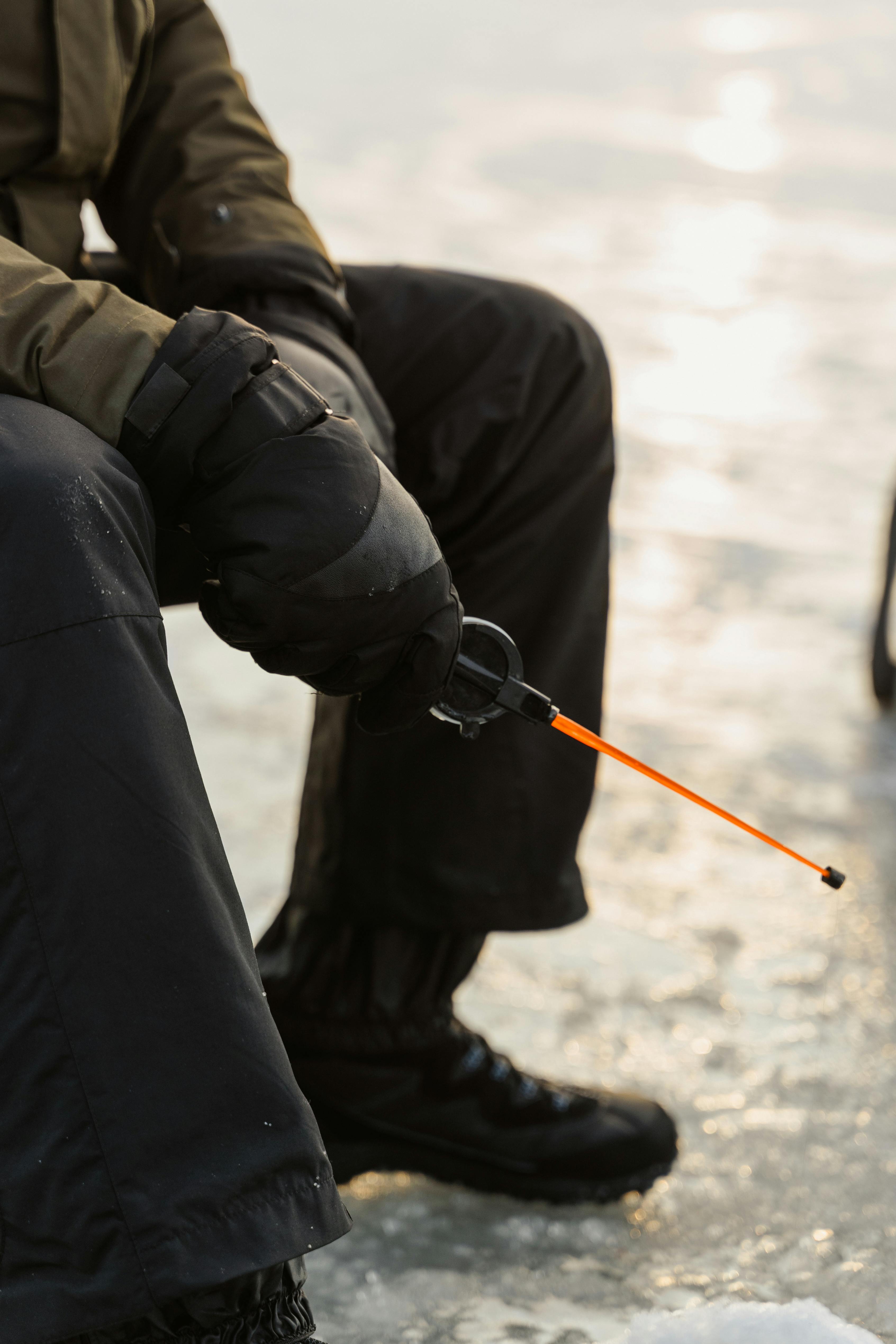 Freeze Police Photos, Download The BEST Free Freeze Police Stock Photos ...