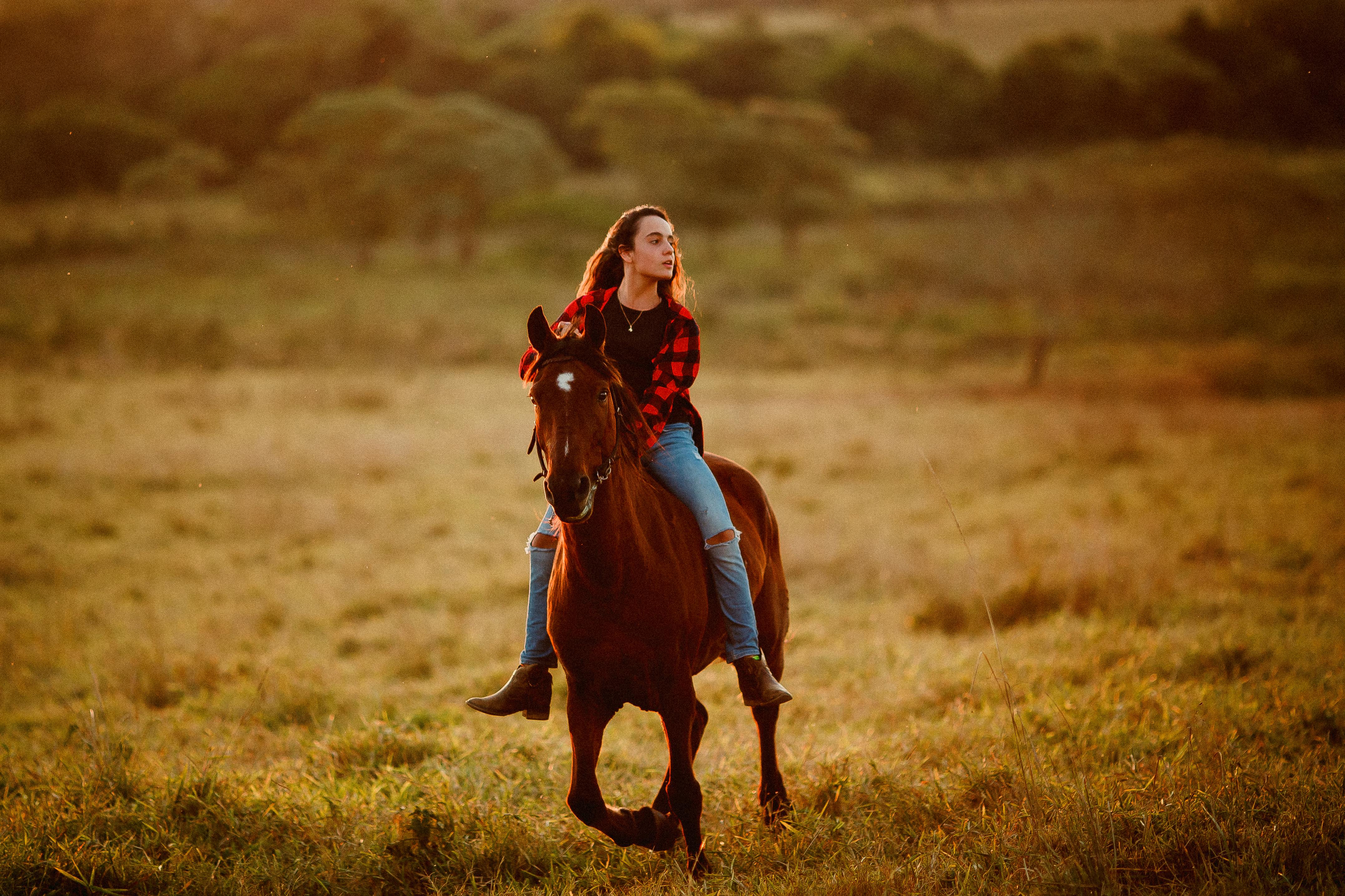 Tranquil woman riding horse on field · Free Stock Photo
