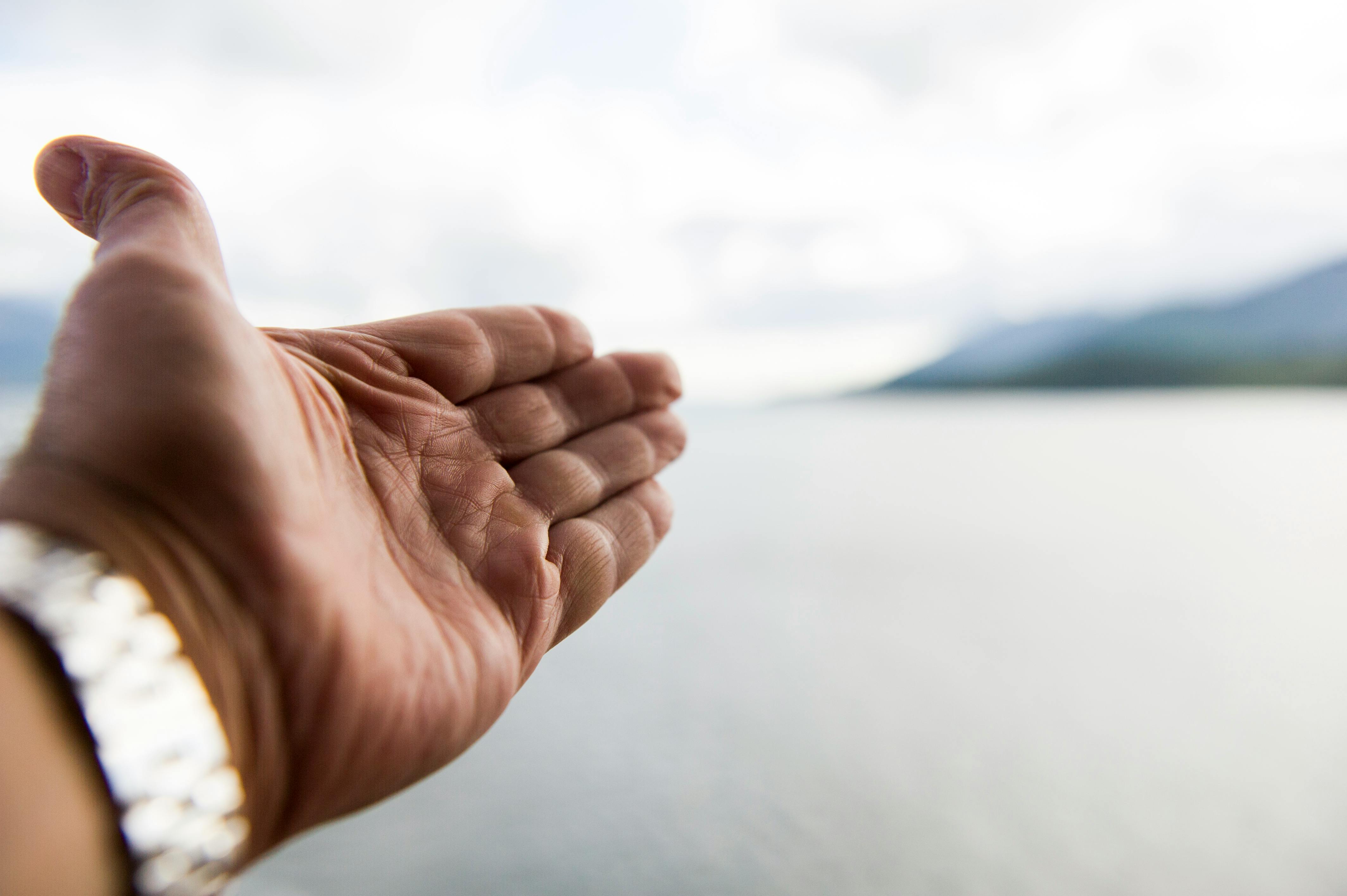 Free stock photo of hand, human, limbs