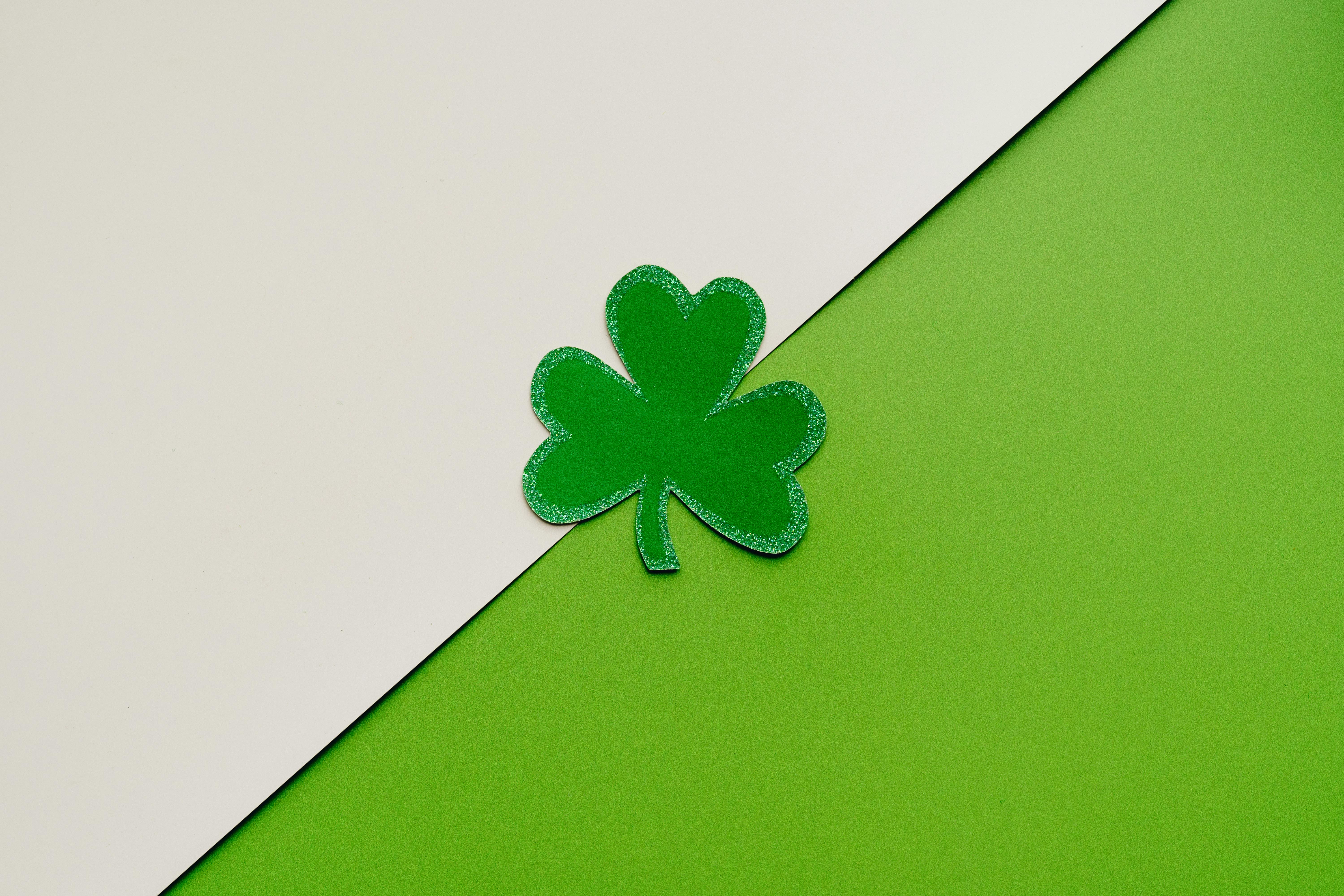 Four-Leaf Limb on Paper · Free Stock Photo