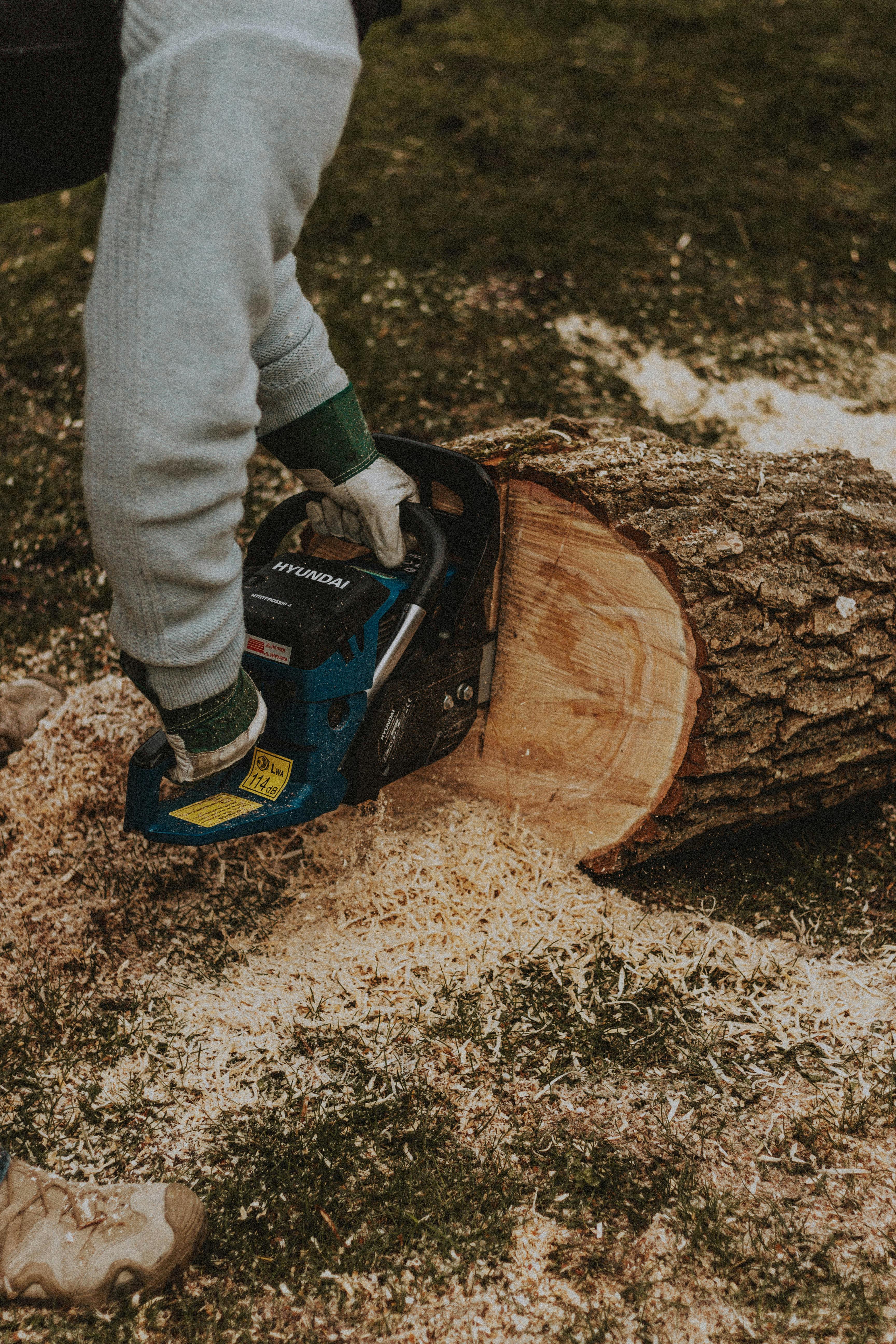 Person Using Chainsaw · Free Stock Photo
