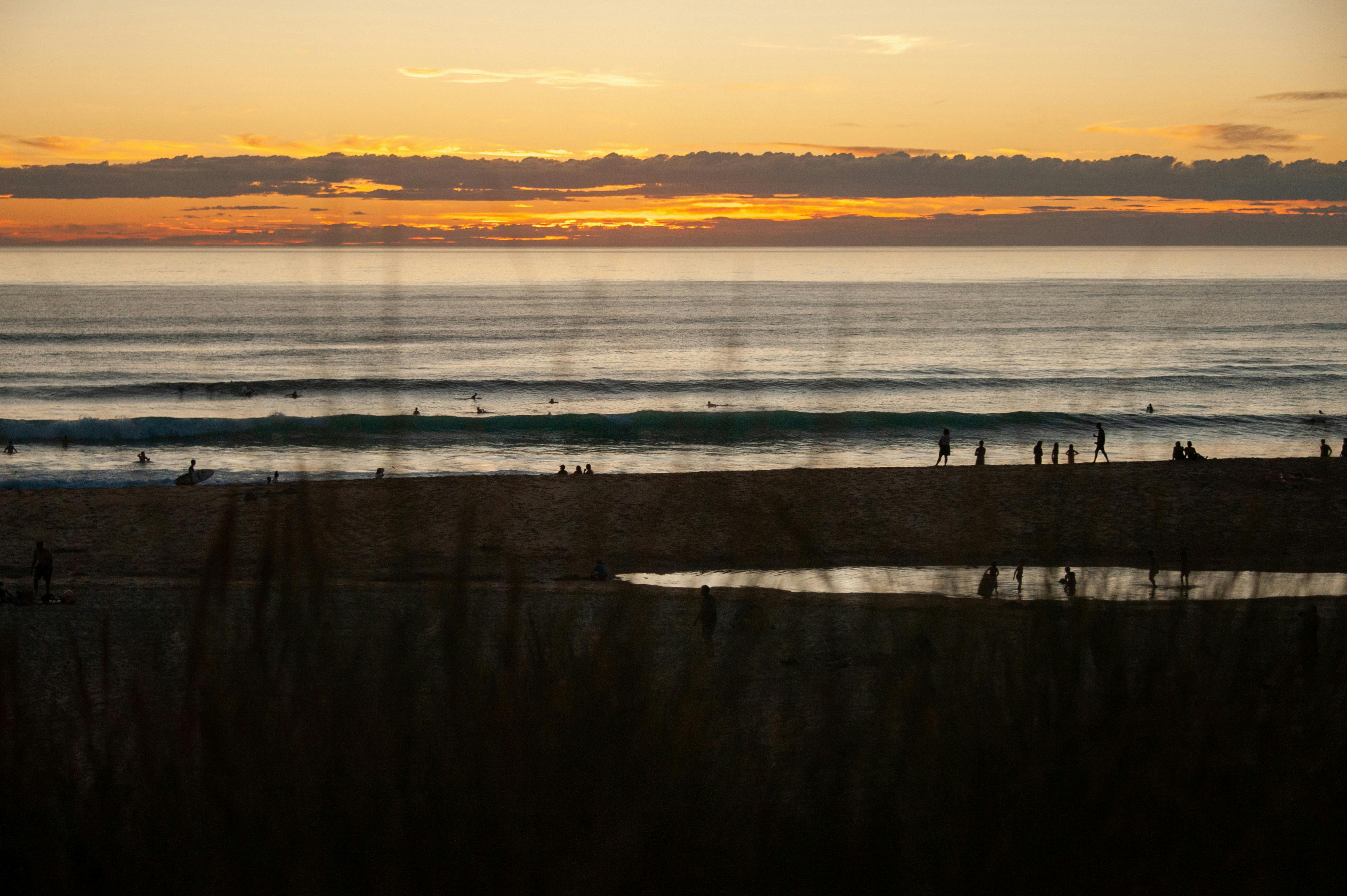 People on Beach during Sunset · Free Stock Photo