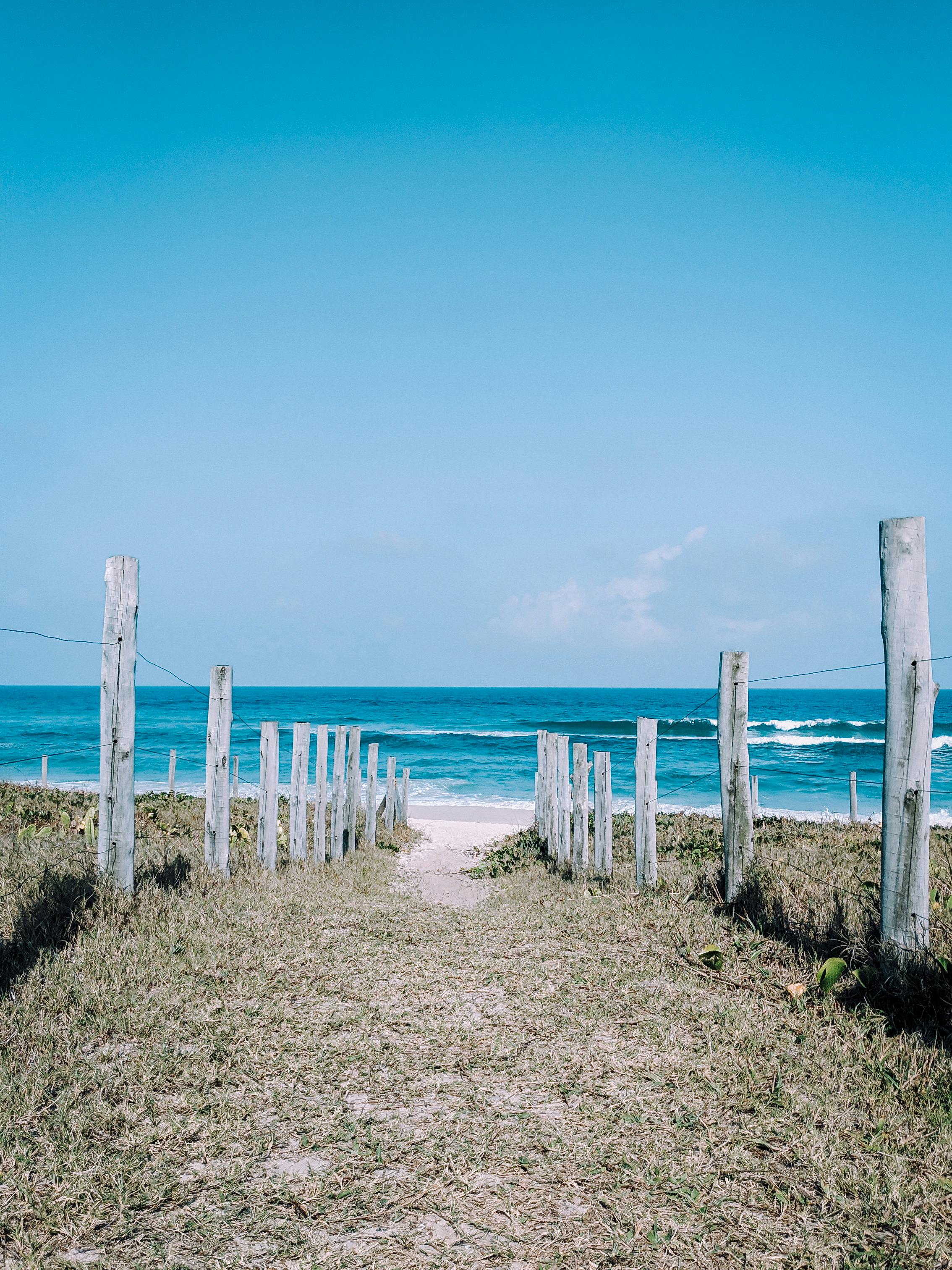 A Pathway to the Beach · Free Stock Photo