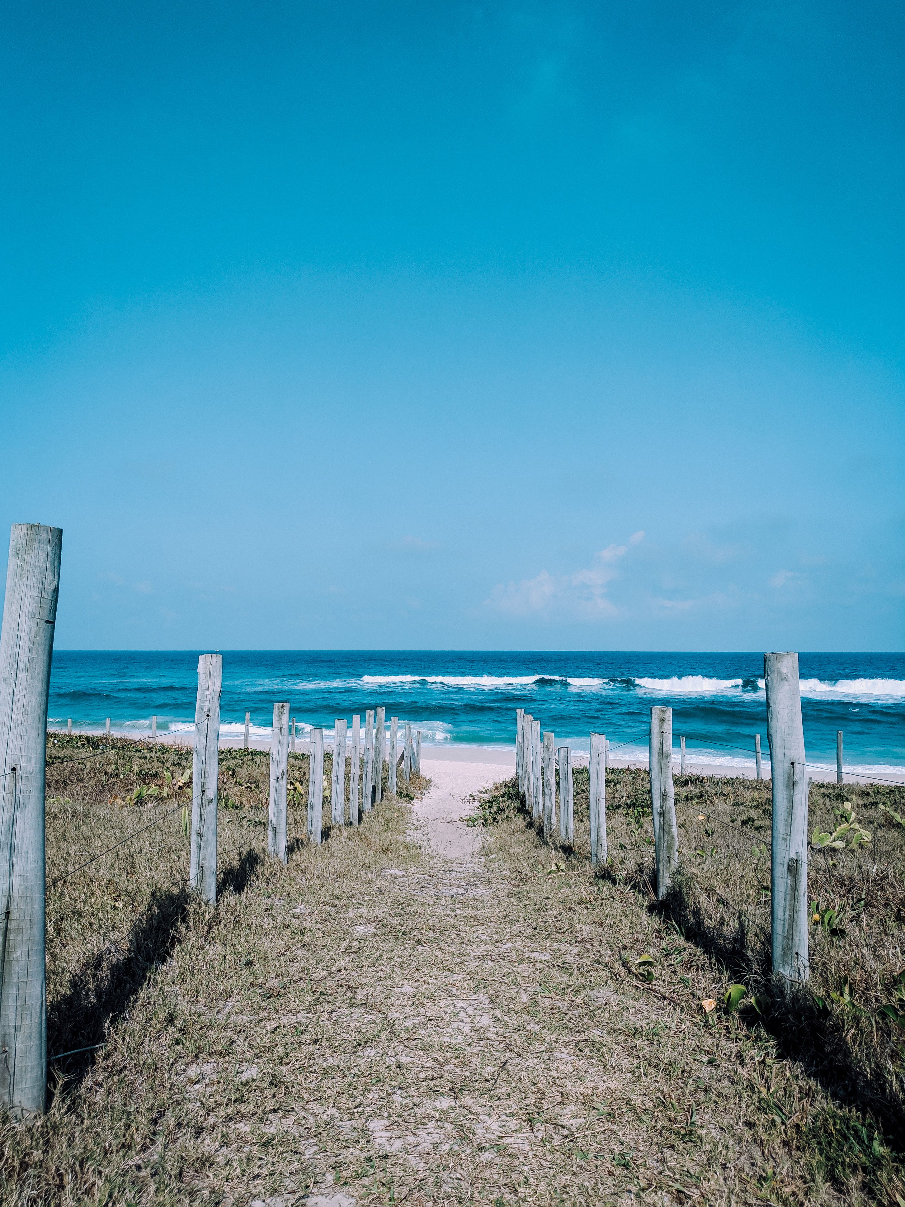 A Pathway to the Beach · Free Stock Photo