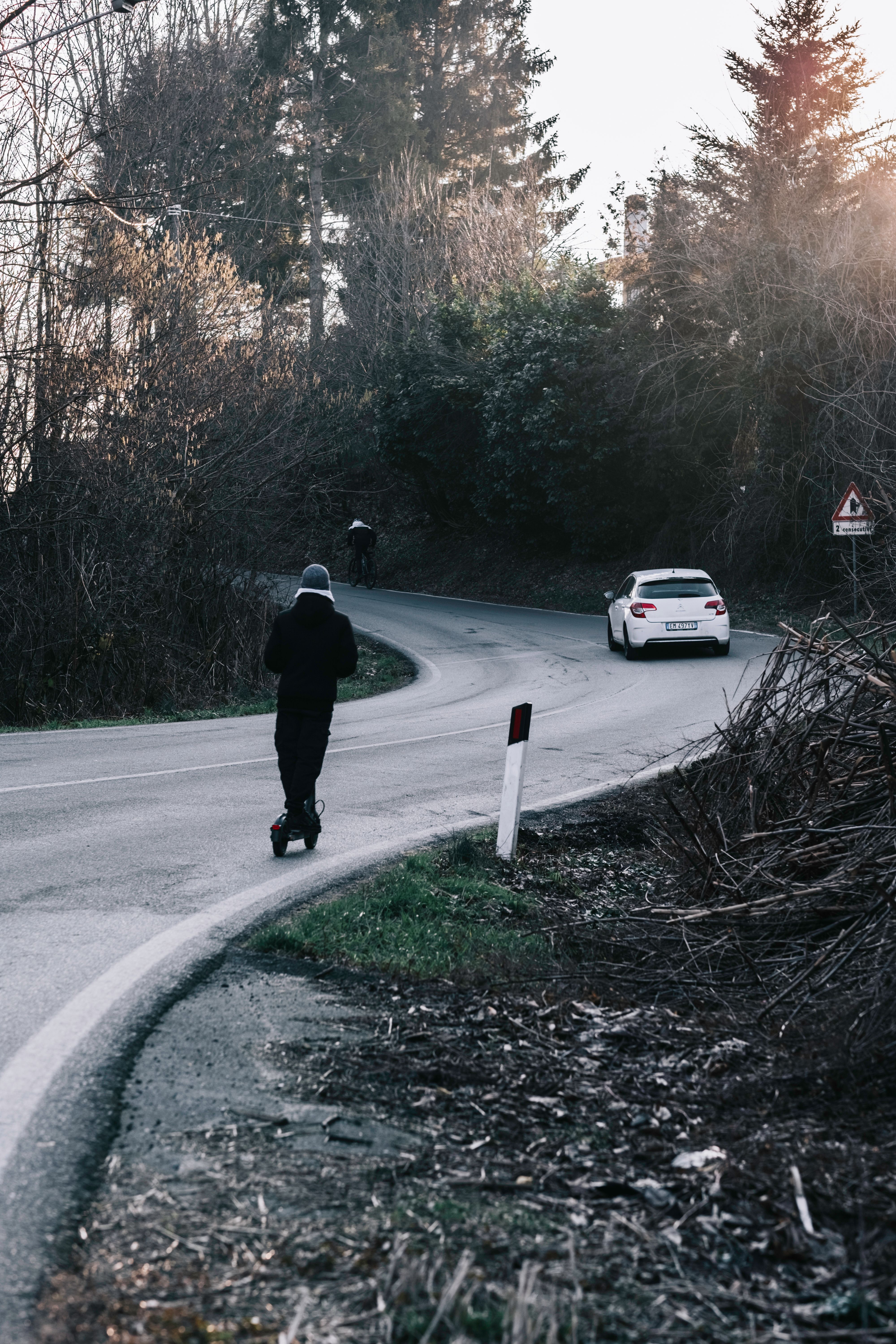 Cars and People on a Road between Trees · Free Stock Photo