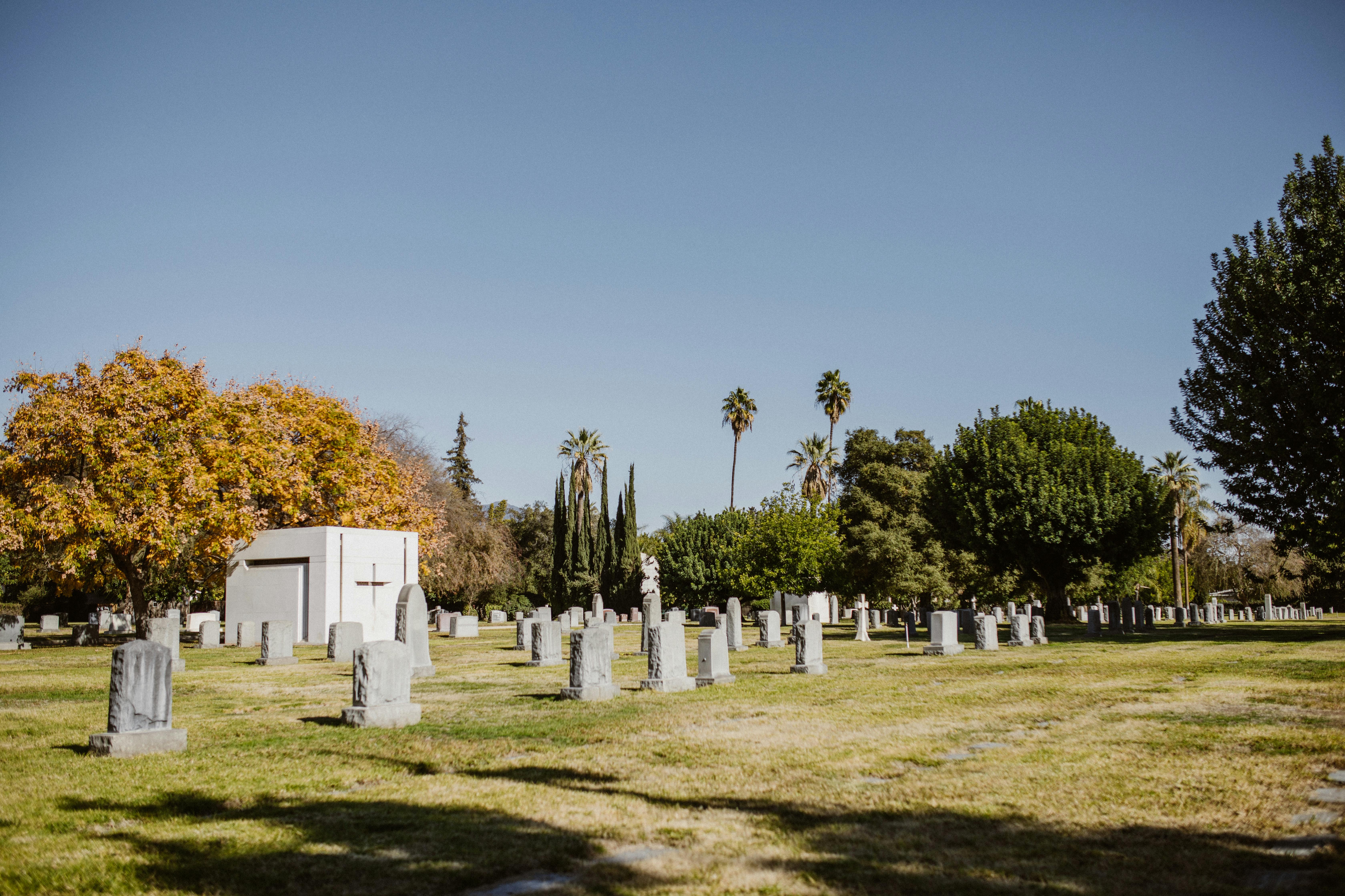 Photo of Graveyard during Daytime · Free Stock Photo
