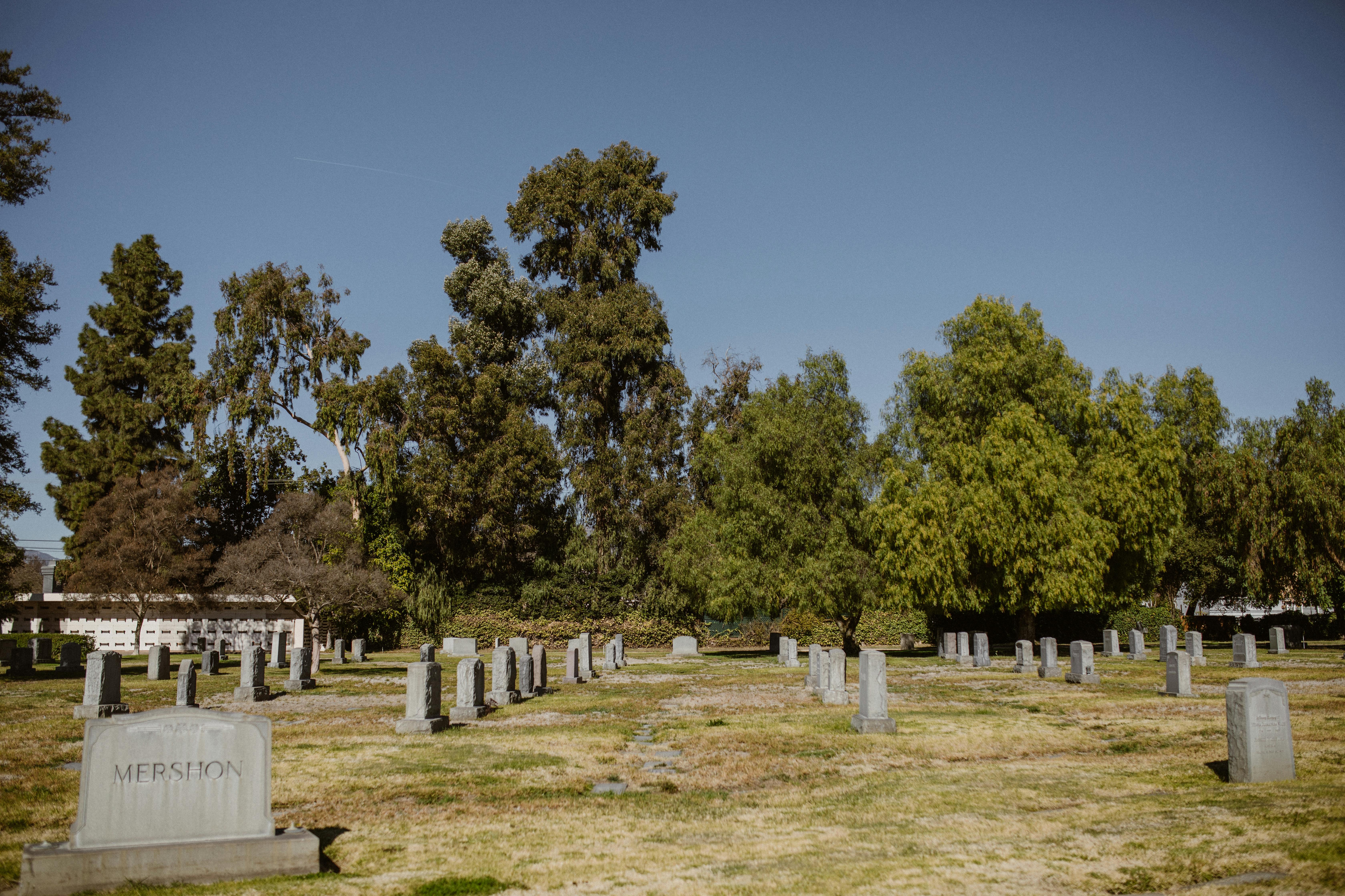 Cemetery Surrounded with Trees Under Gray Sky · Free Stock Photo