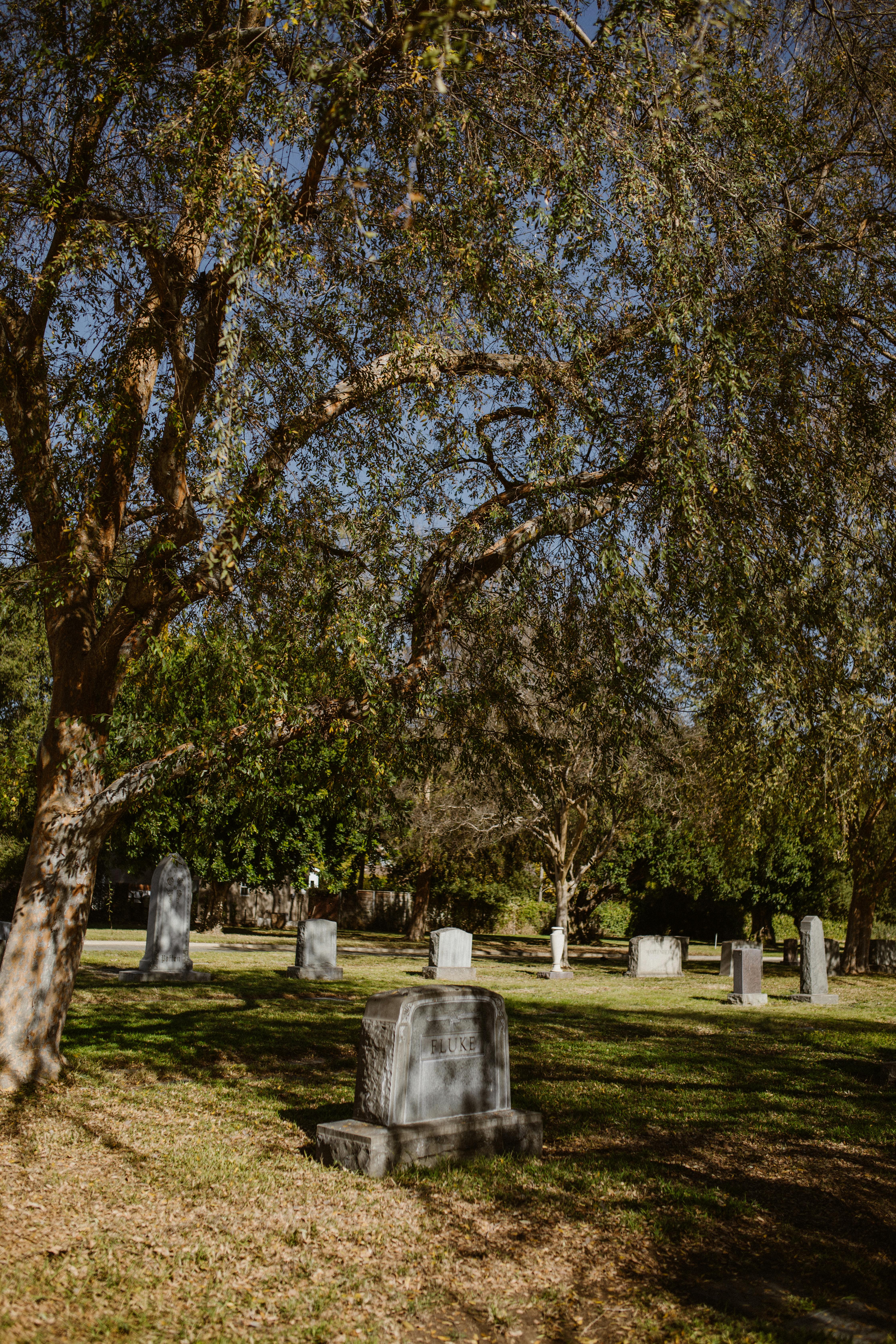 Gravestones at the Cemetery · Free Stock Photo