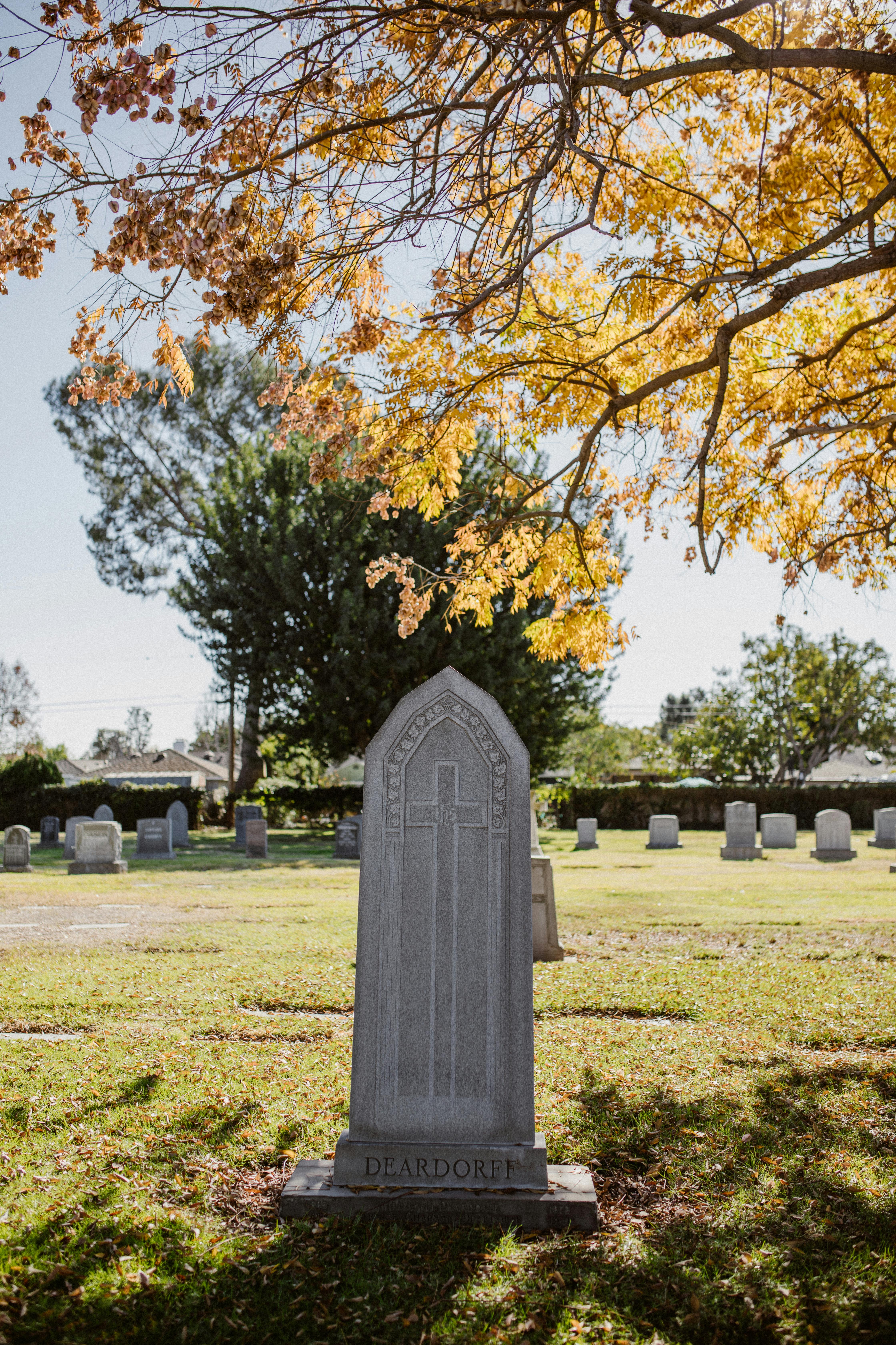 Gray Gravestone in a Cemetery · Free Stock Photo