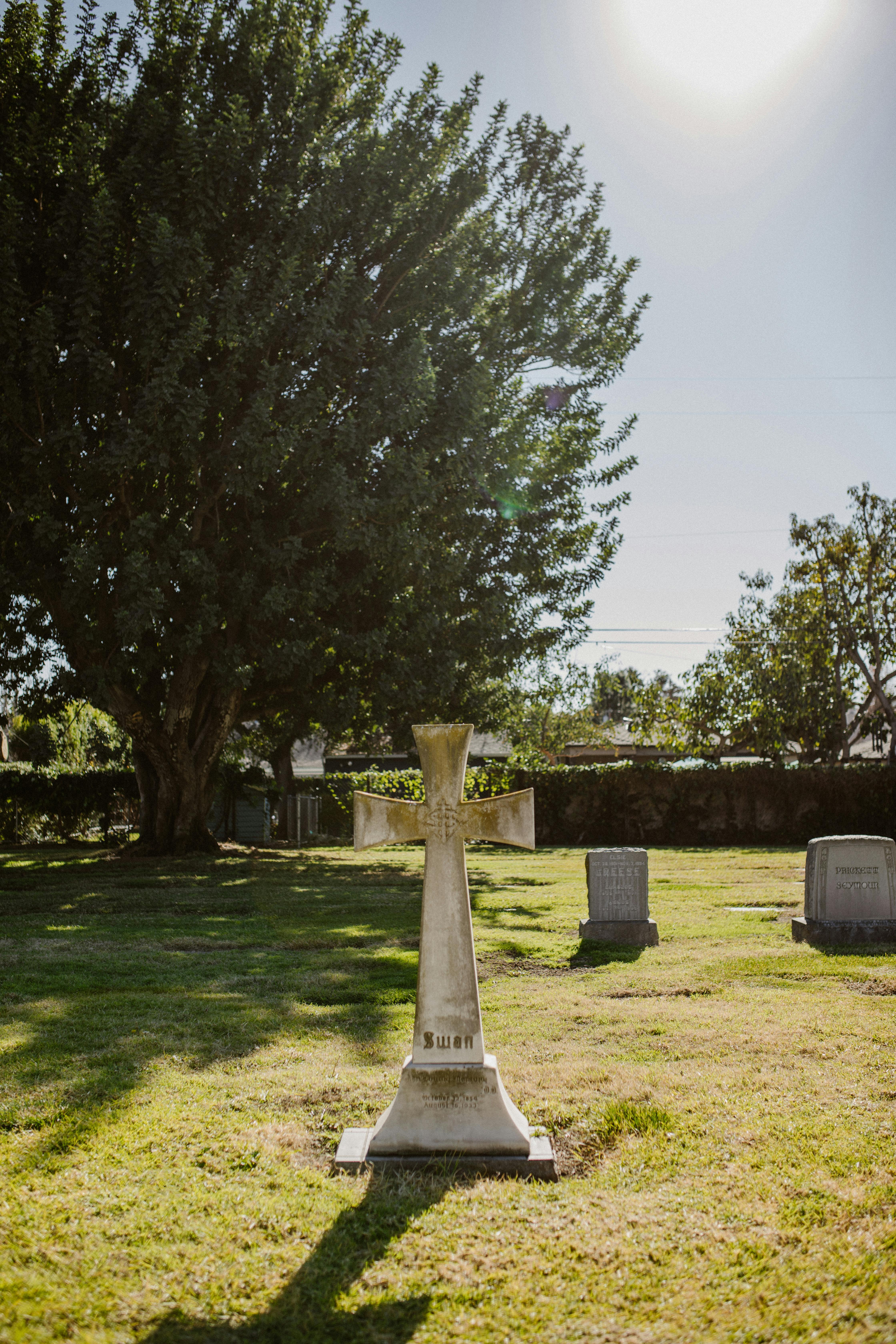 300+ Best Bereavement Photos · 100% Free Download · Pexels Stock Photos