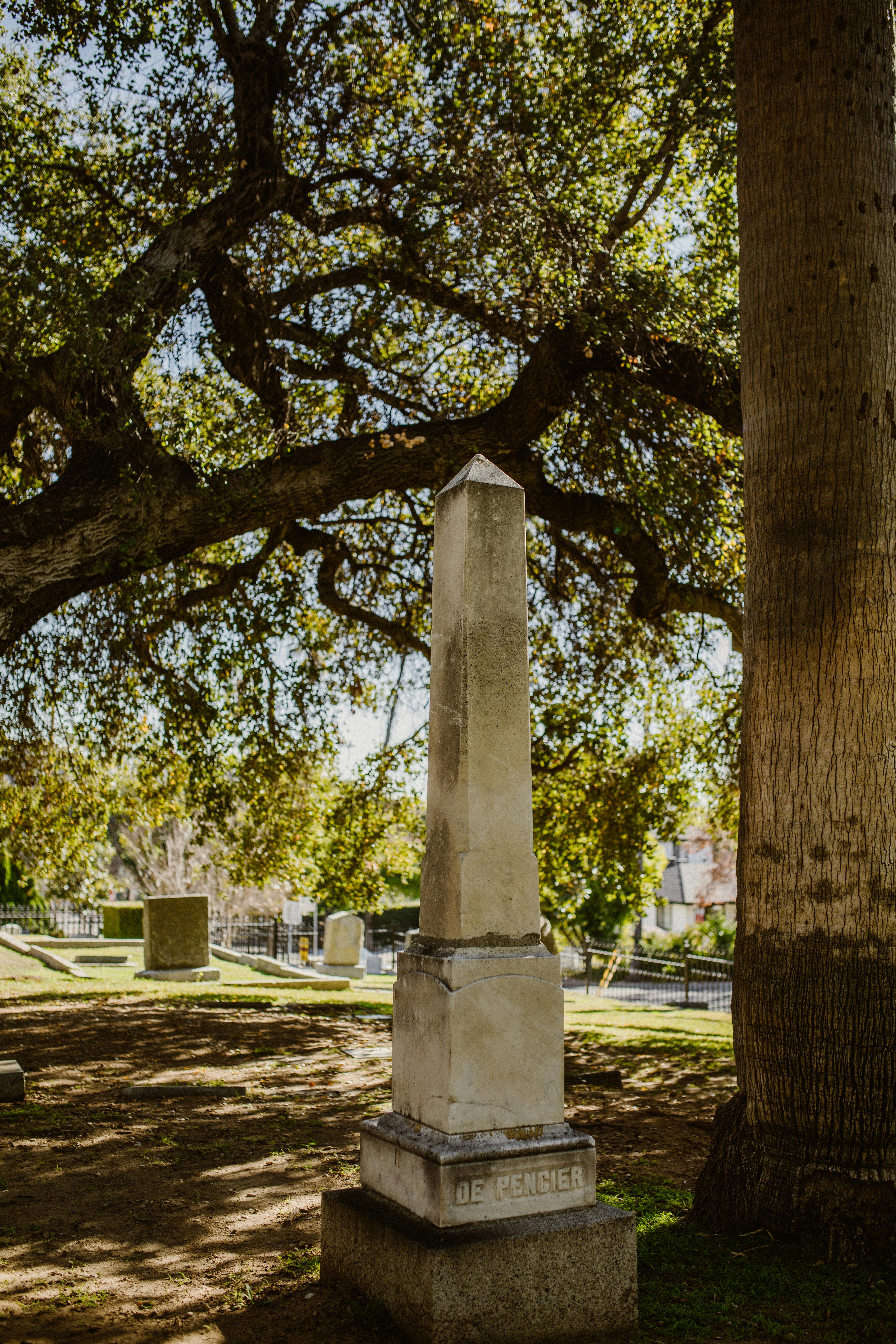 Photo of Tombstone Near Tree · Free Stock Photo