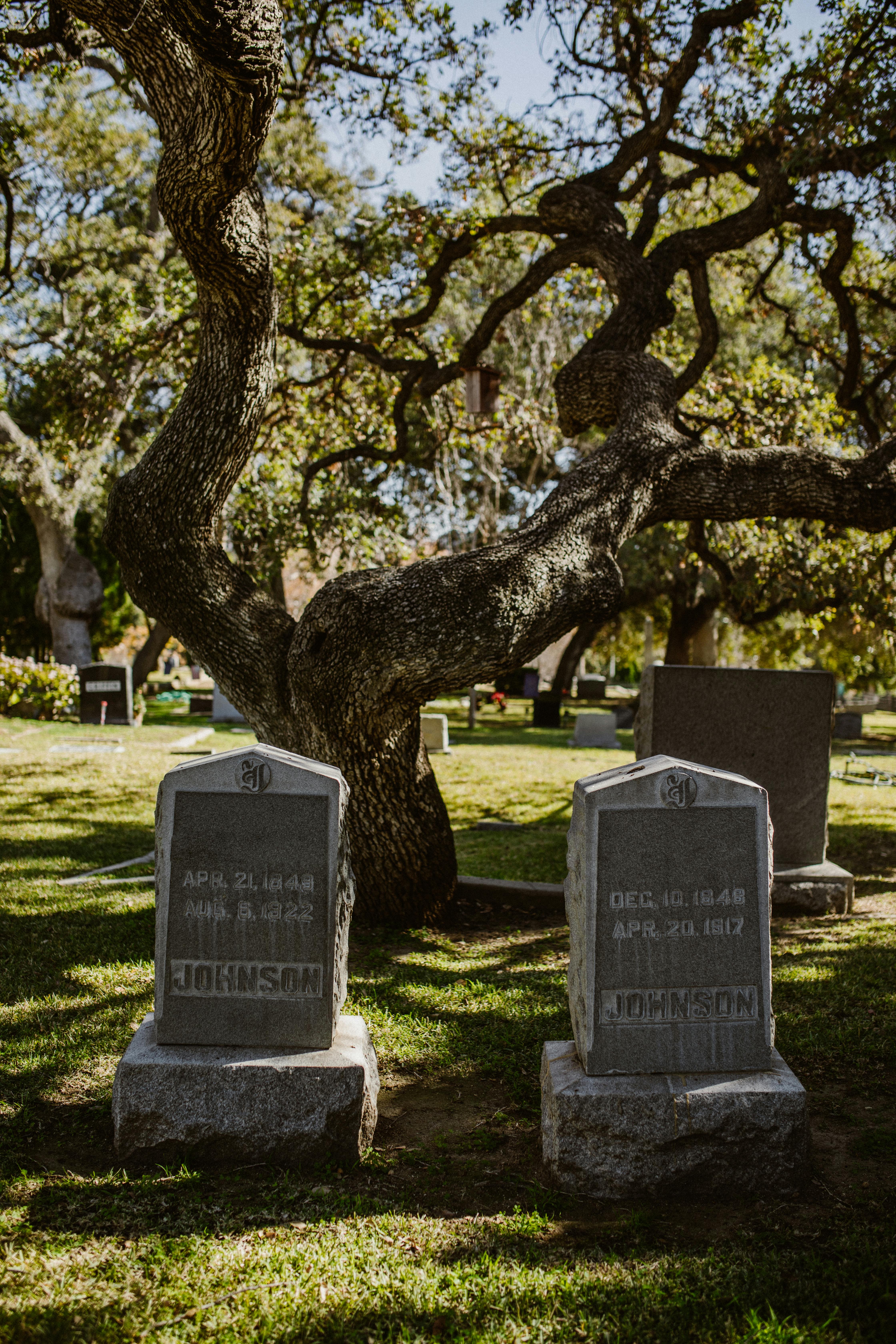 300+ Best Bereavement Photos · 100% Free Download · Pexels Stock Photos