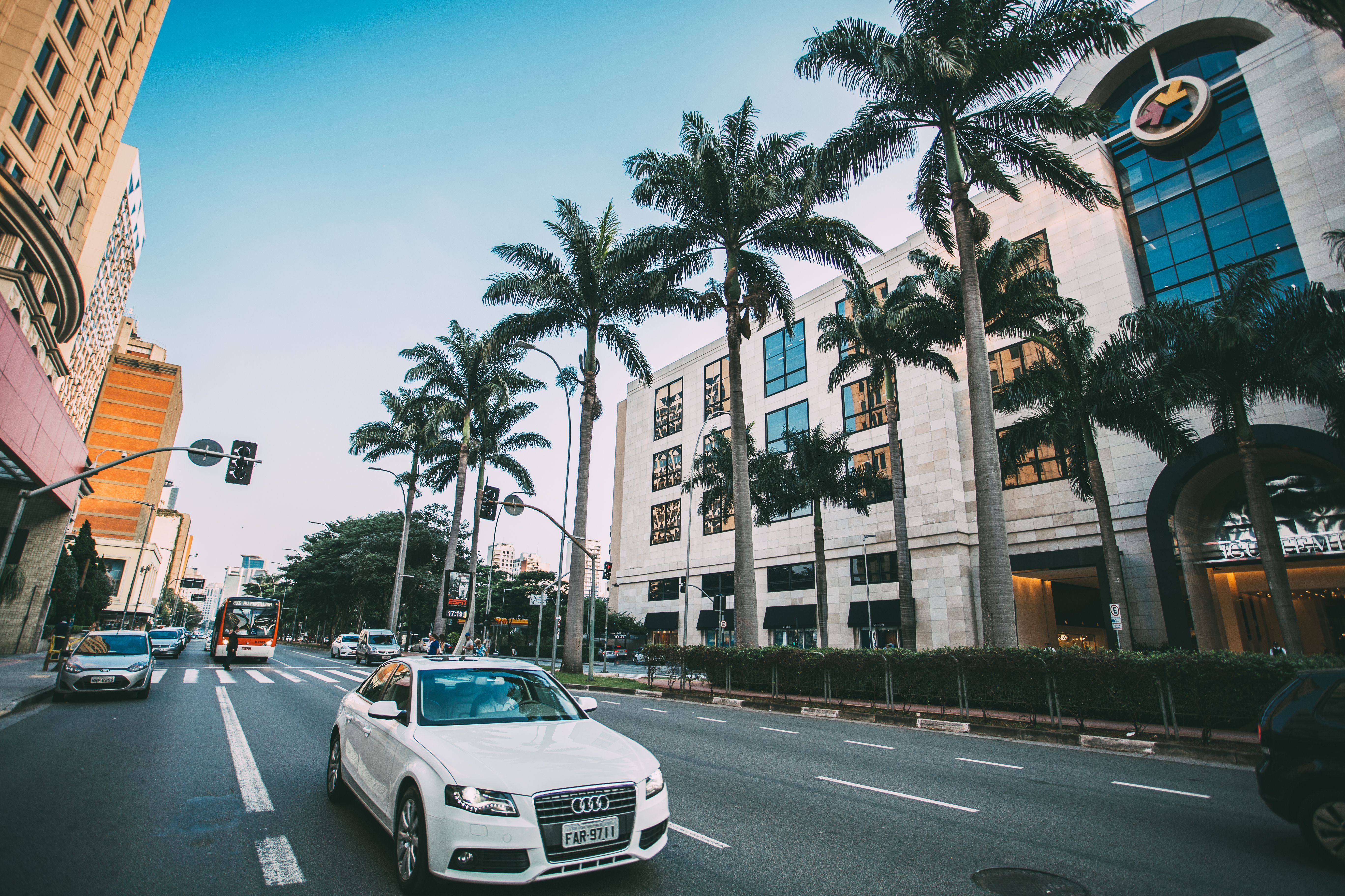 White Audi Sedan on Gray Concrete Road Near Green Trees Surround by ...