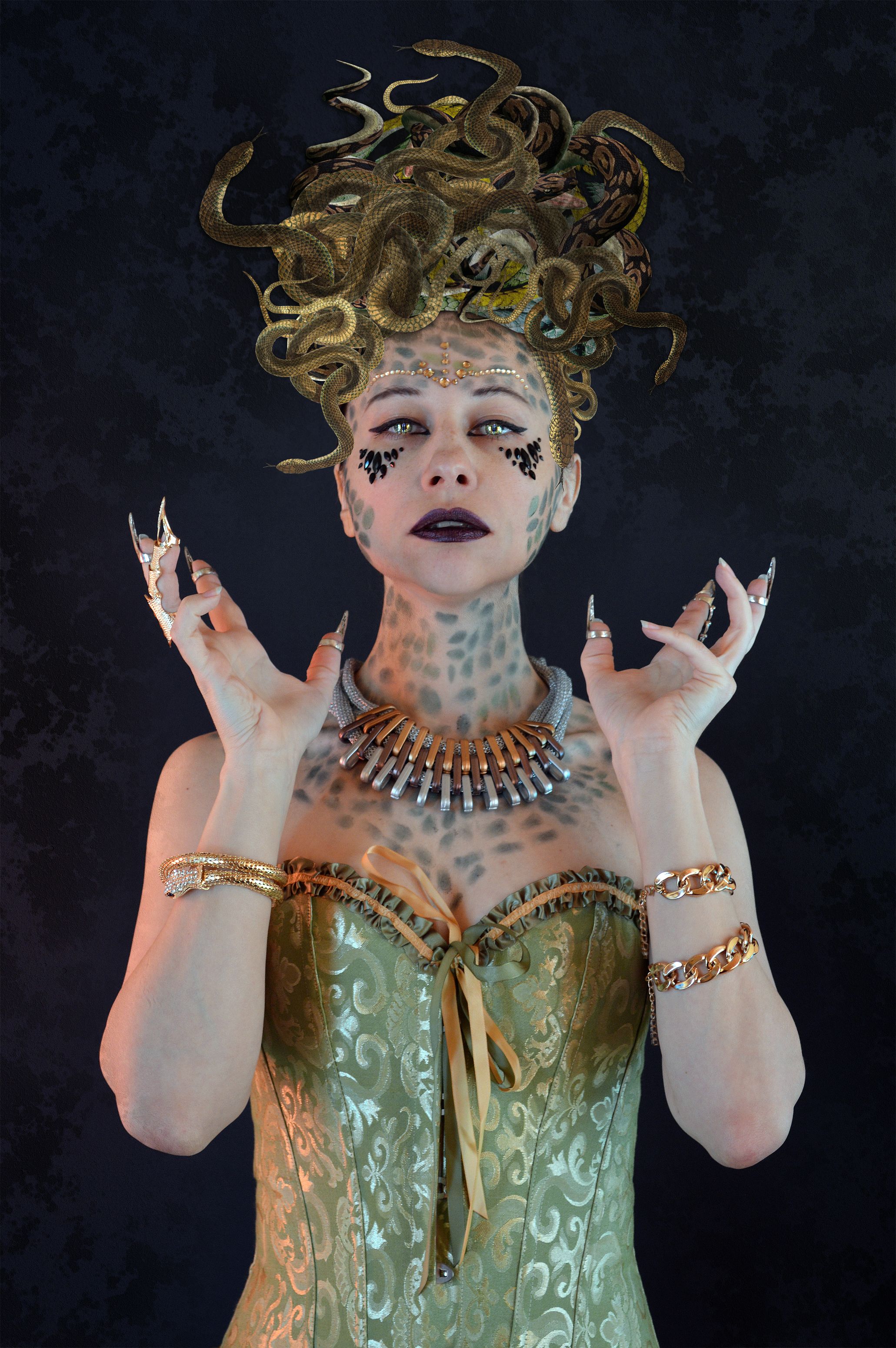 Medusa Photos, Download The BEST Free Medusa Stock Photos & HD Images
