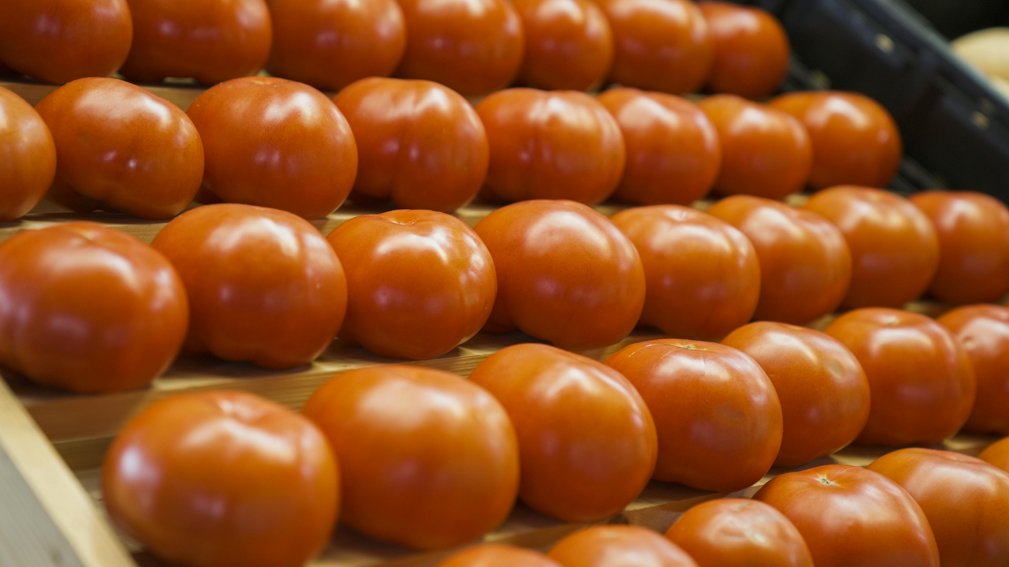 Tomatoes On Shelf Photos, Download The BEST Free Tomatoes On Shelf ...
