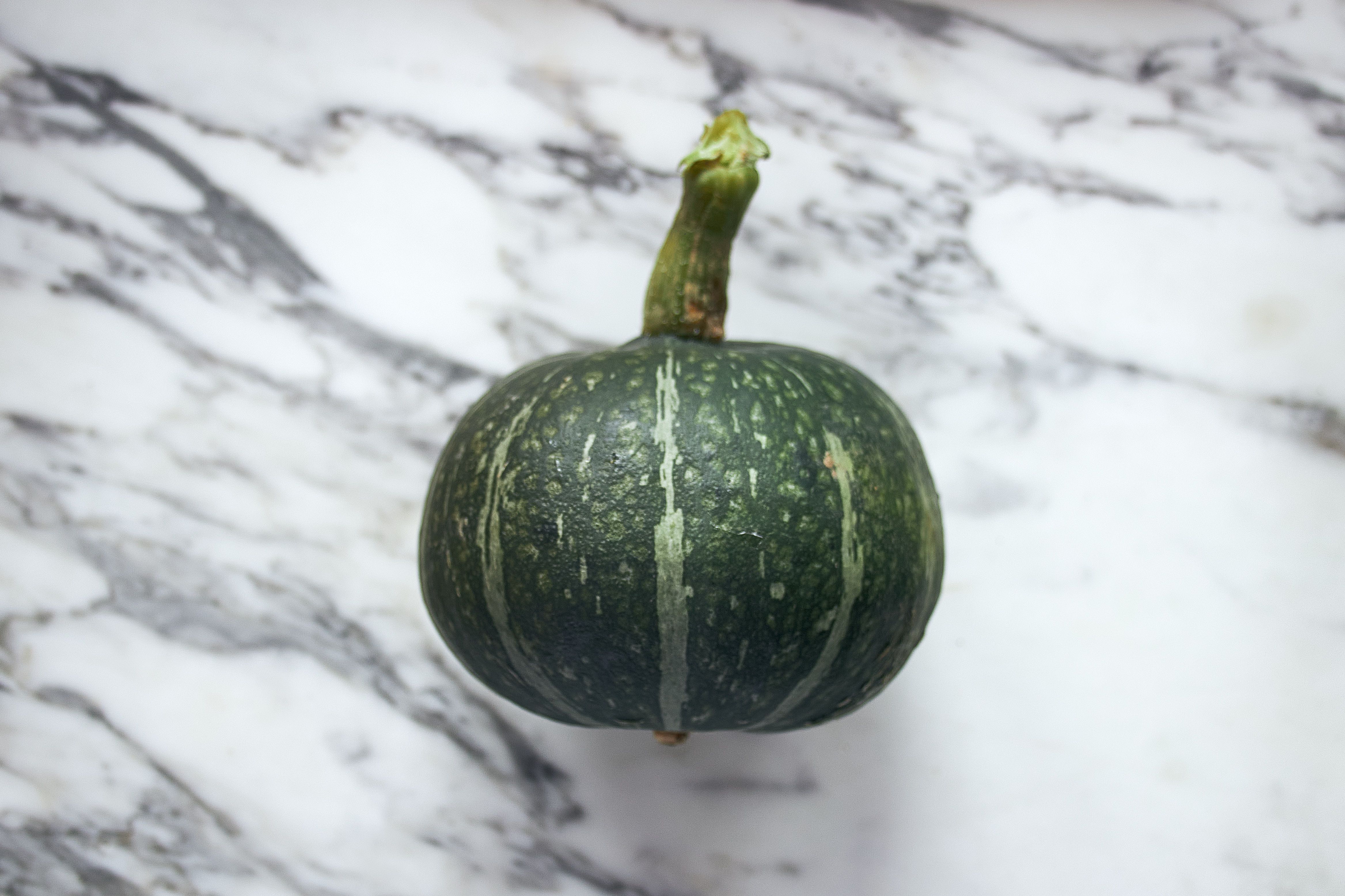 Green Squash Photos, Download The BEST Free Green Squash Stock Photos ...
