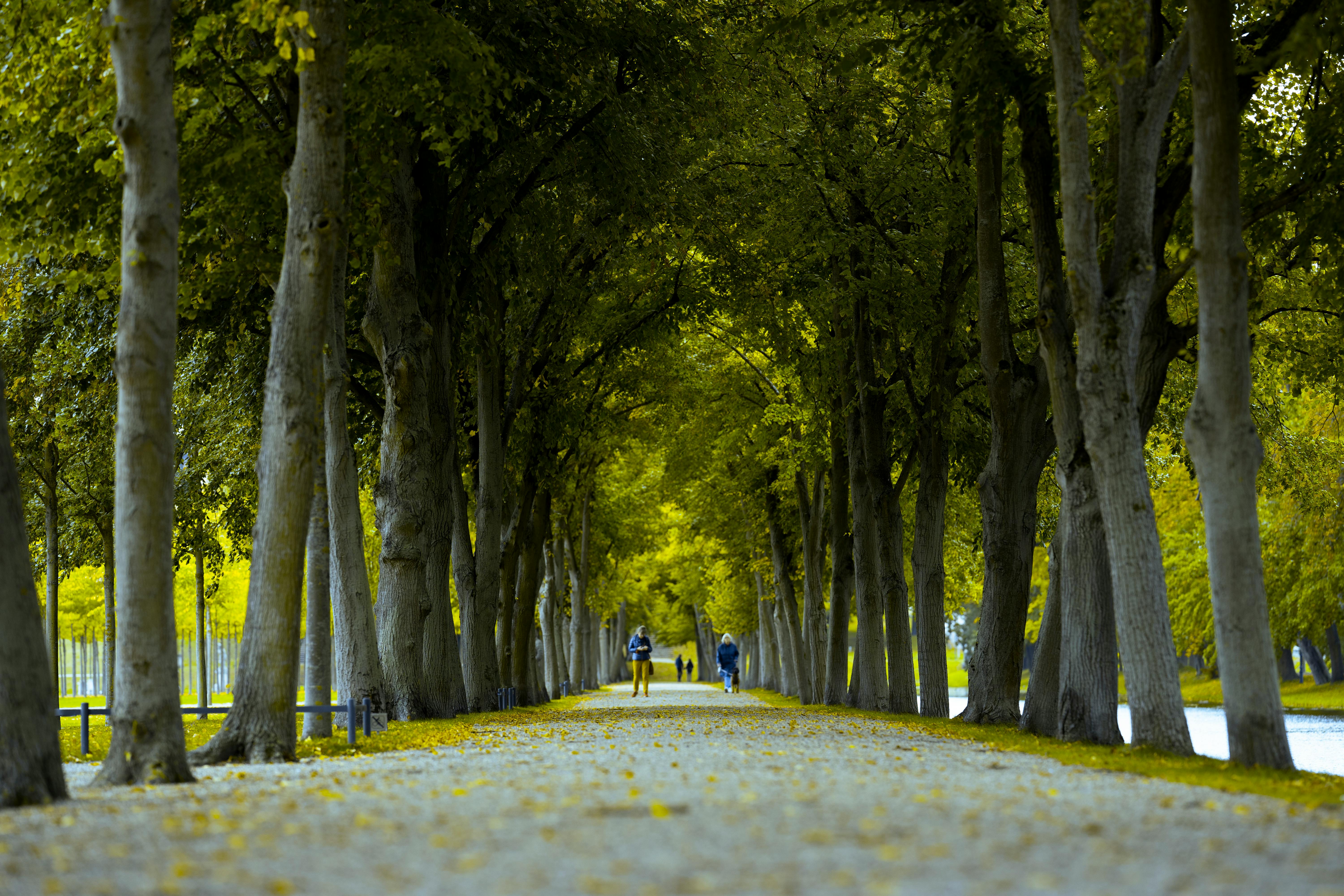 Buildings located in rural area · Free Stock Photo