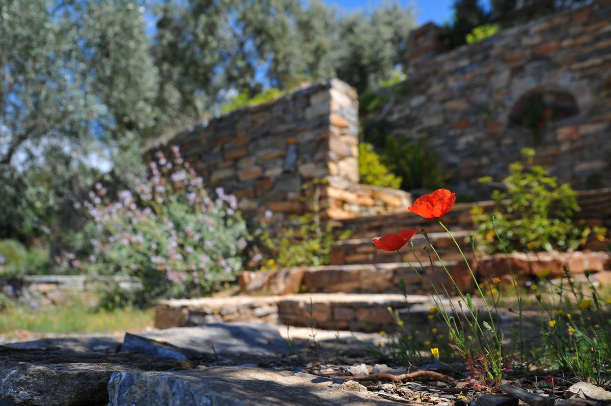 Landscaping Photos, Download The BEST Free Landscaping Stock Photos ...