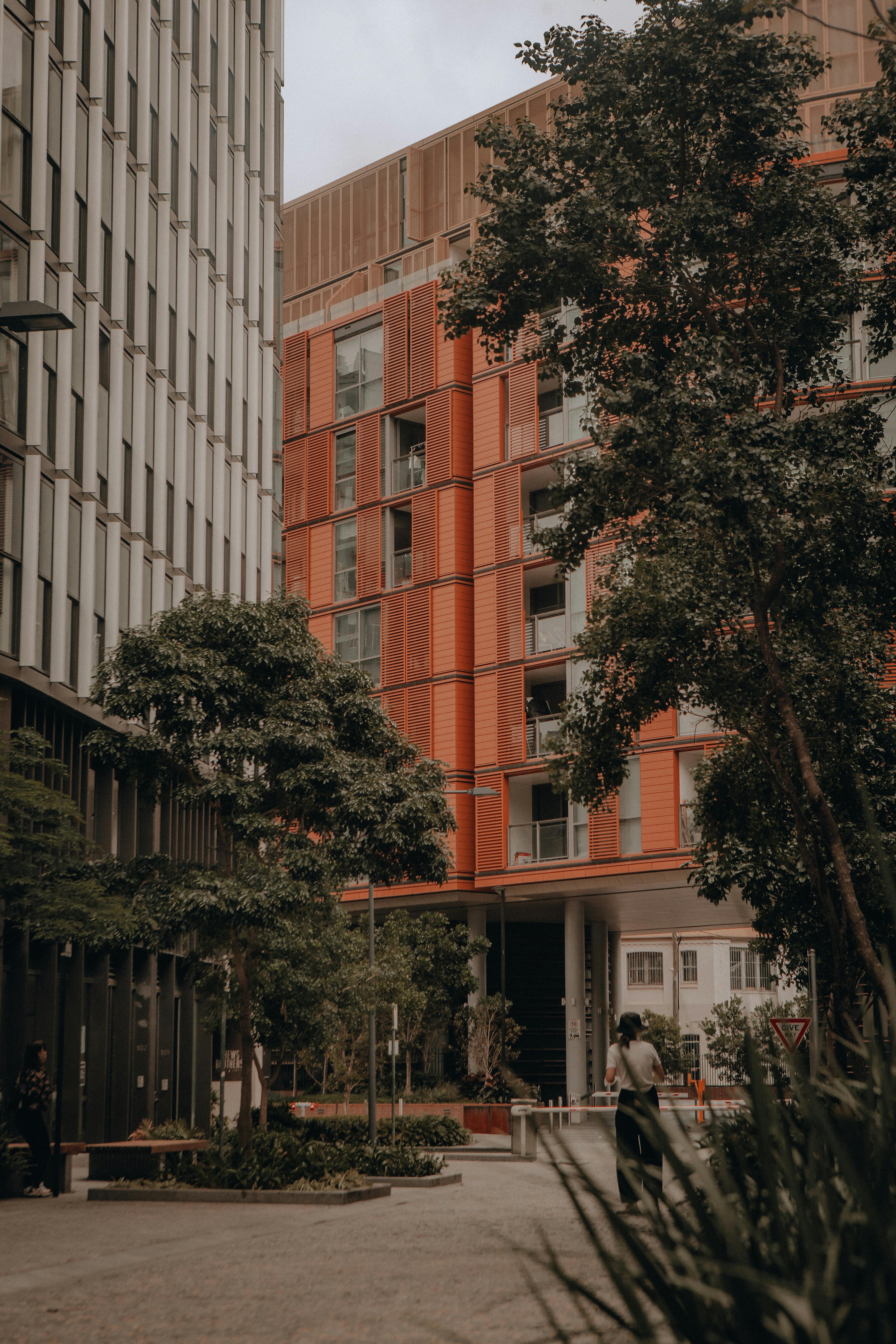Trees Near Buildings · Free Stock Photo