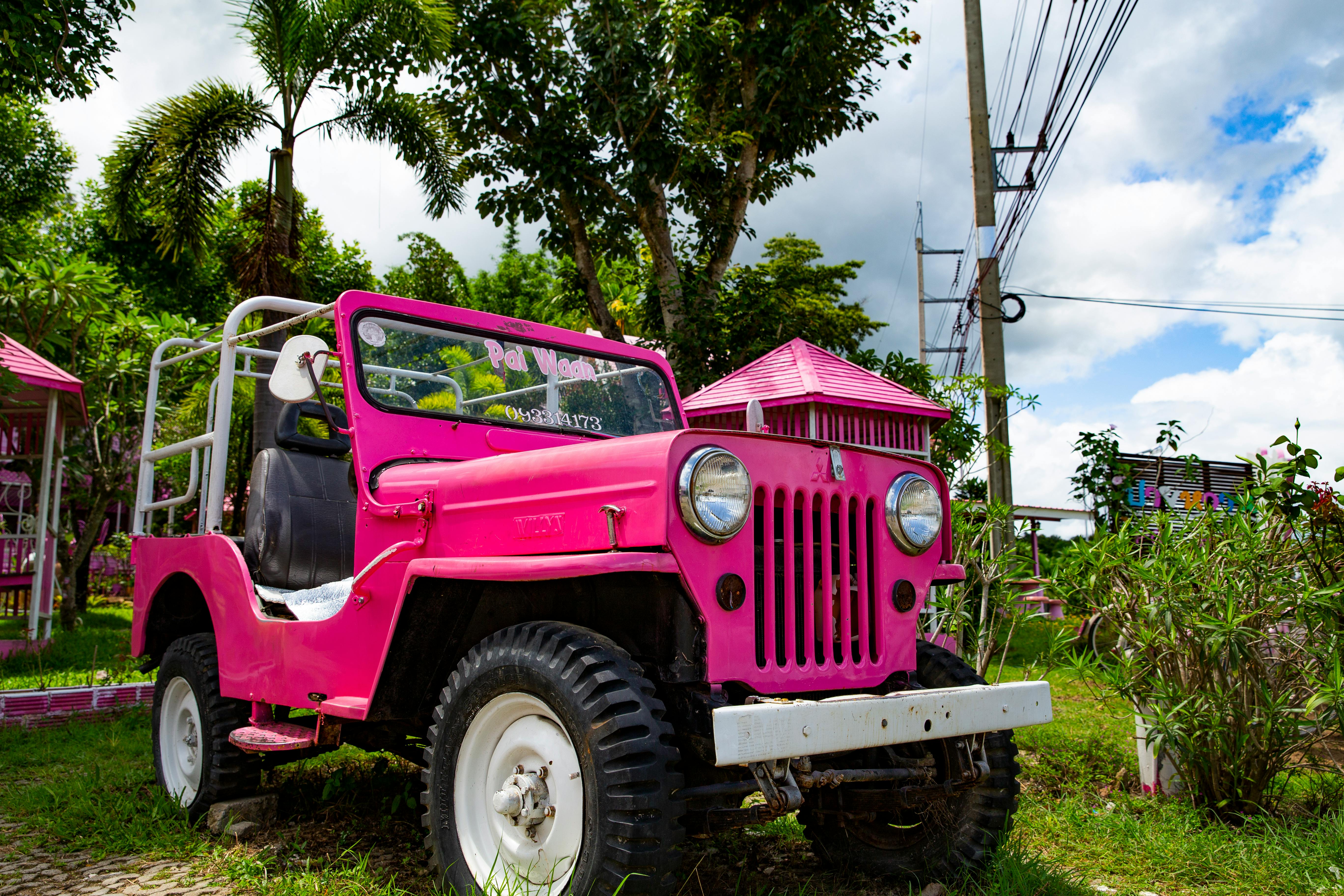 A Pink Car Parked on the Green Grass · Free Stock Photo