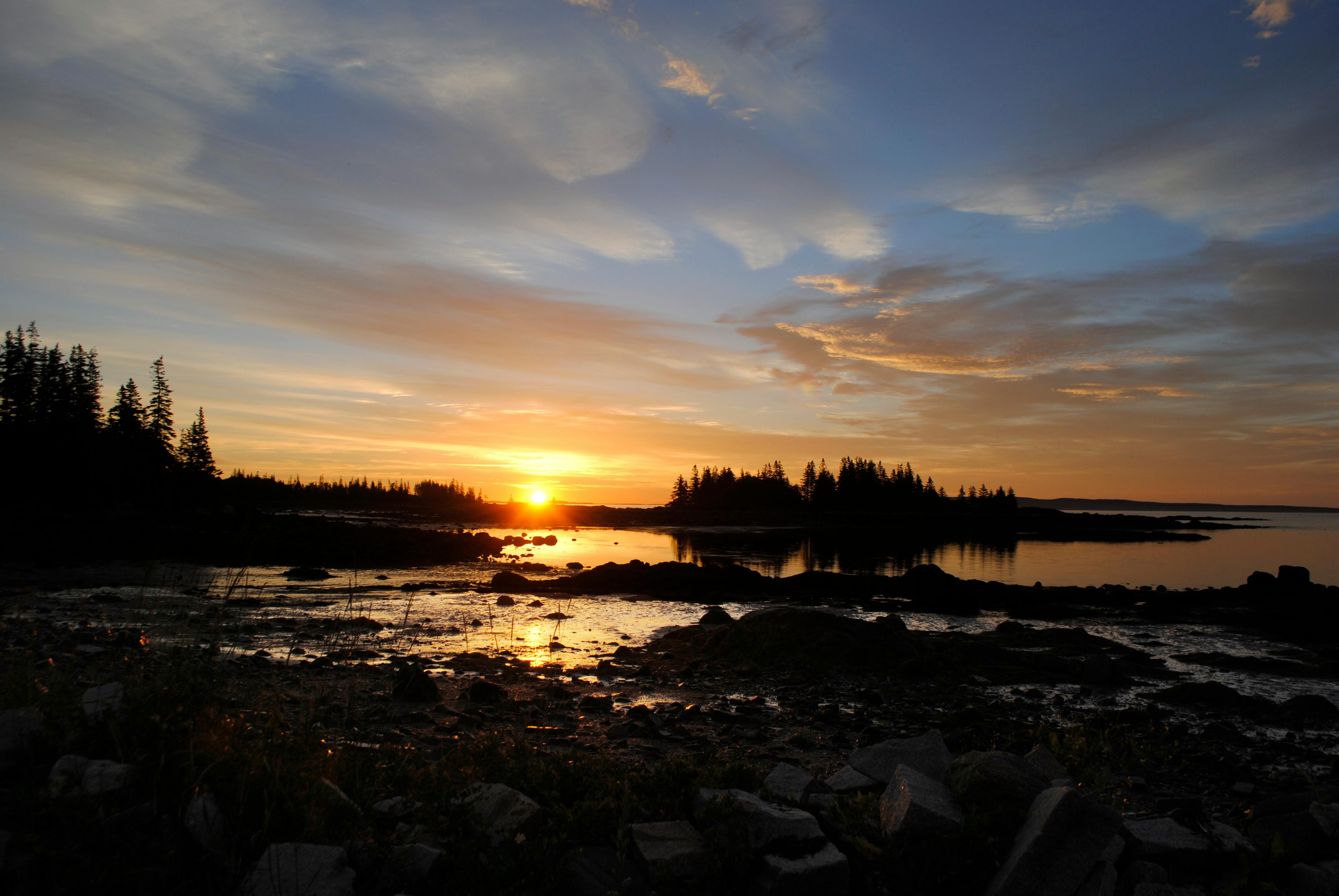 Setting sun over tranquil sea and forested coast · Free Stock Photo