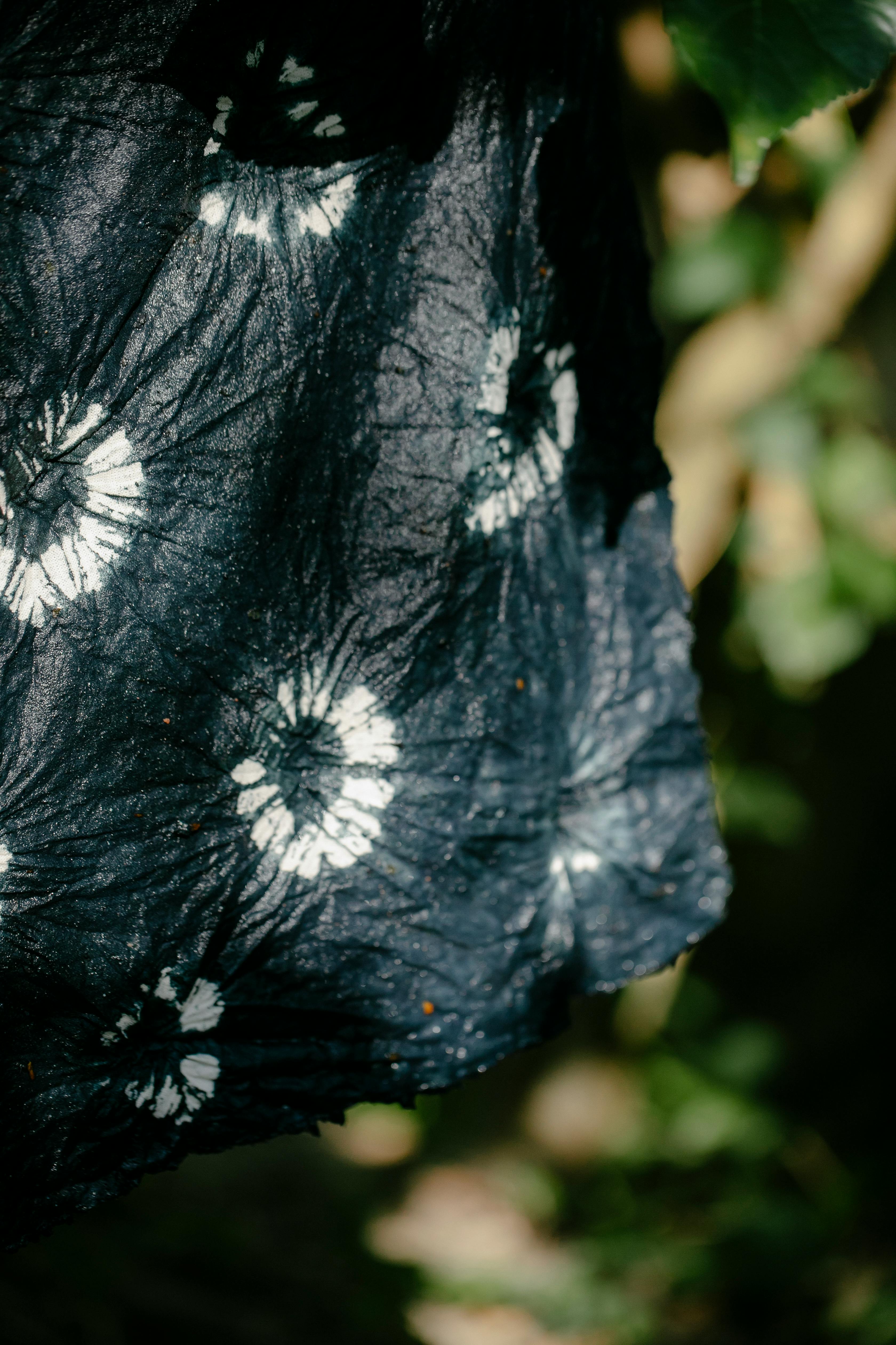 Close up of a Wet Piece of Cloth · Free Stock Photo